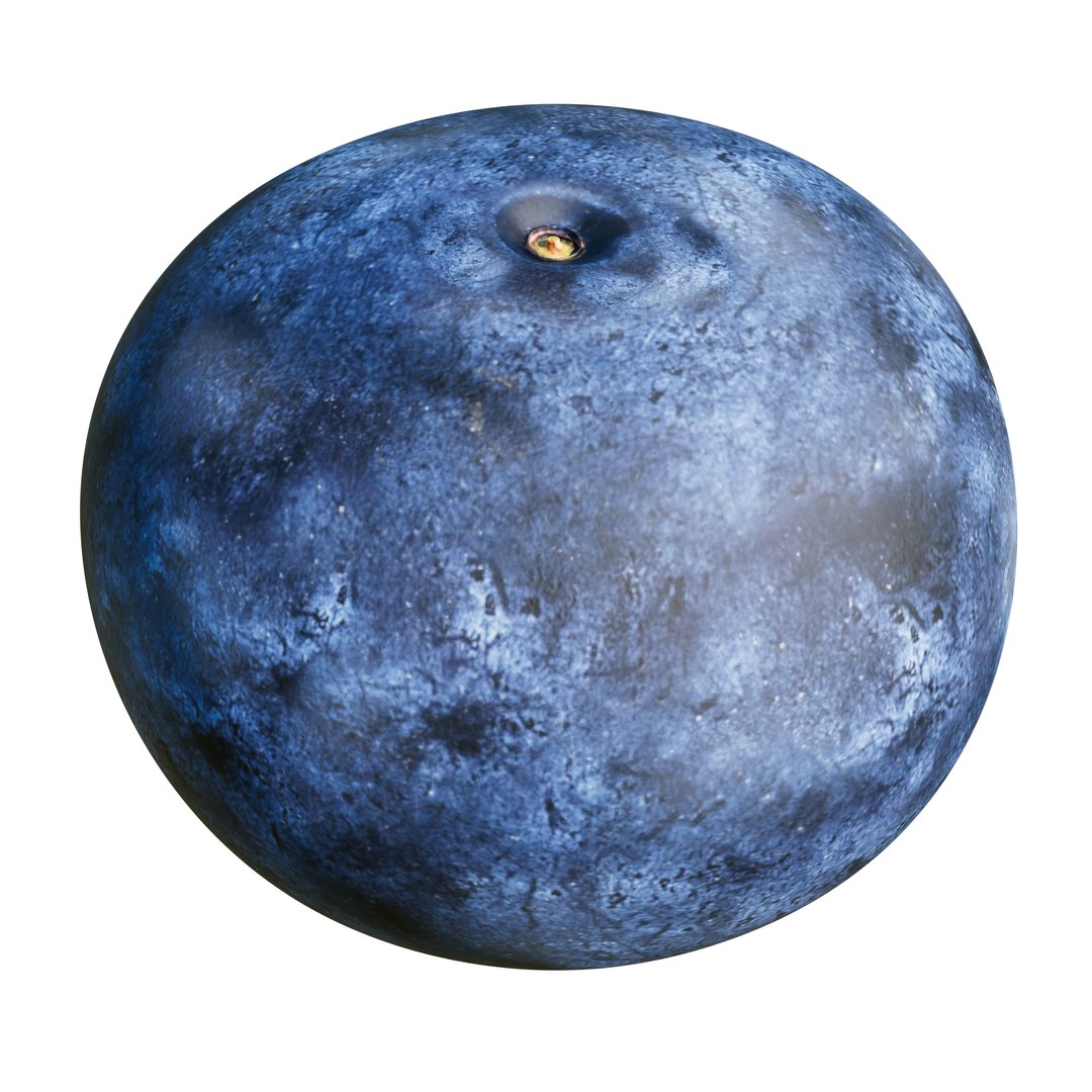 Blueberry 3D model - TurboSquid 1897209