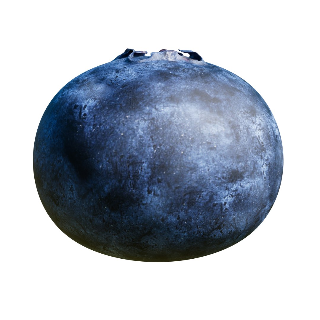 Blueberry 3D model - TurboSquid 1897209