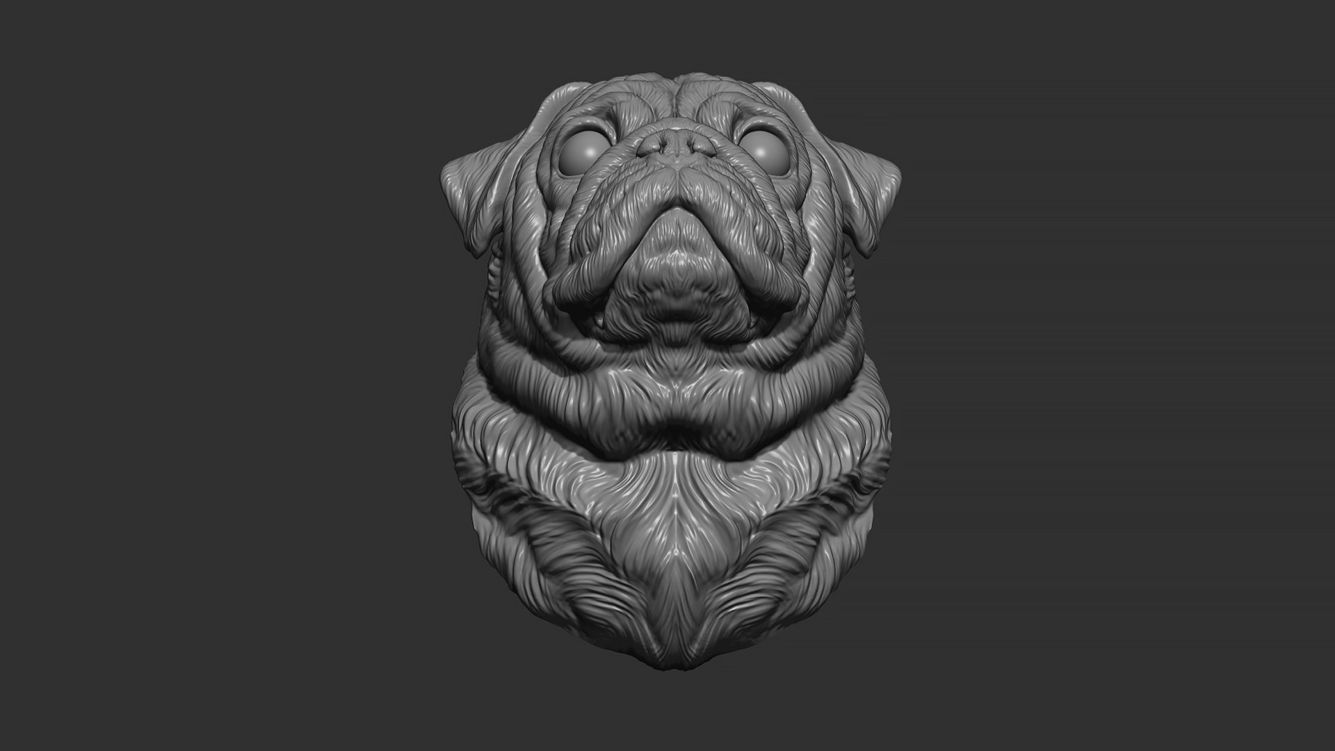 3D model Pug dog head - TurboSquid 2099846