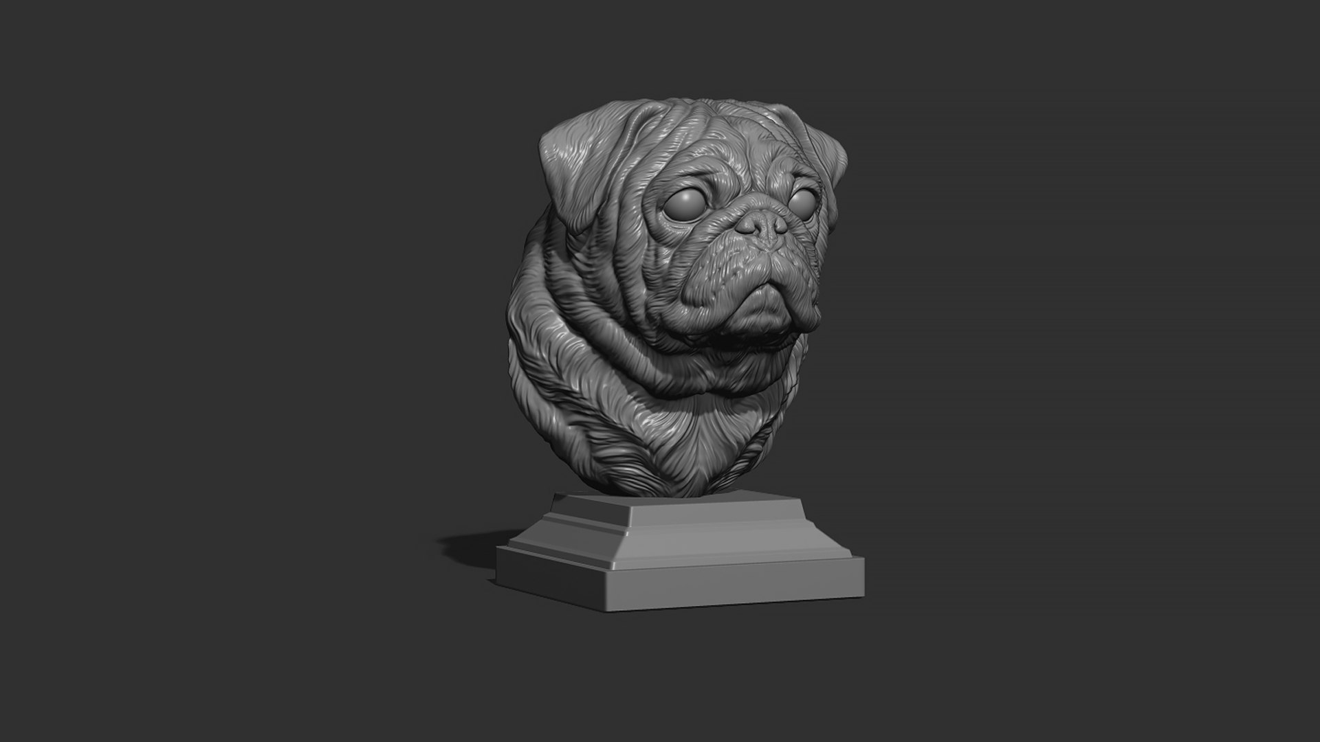 3D model Pug dog head - TurboSquid 2099846