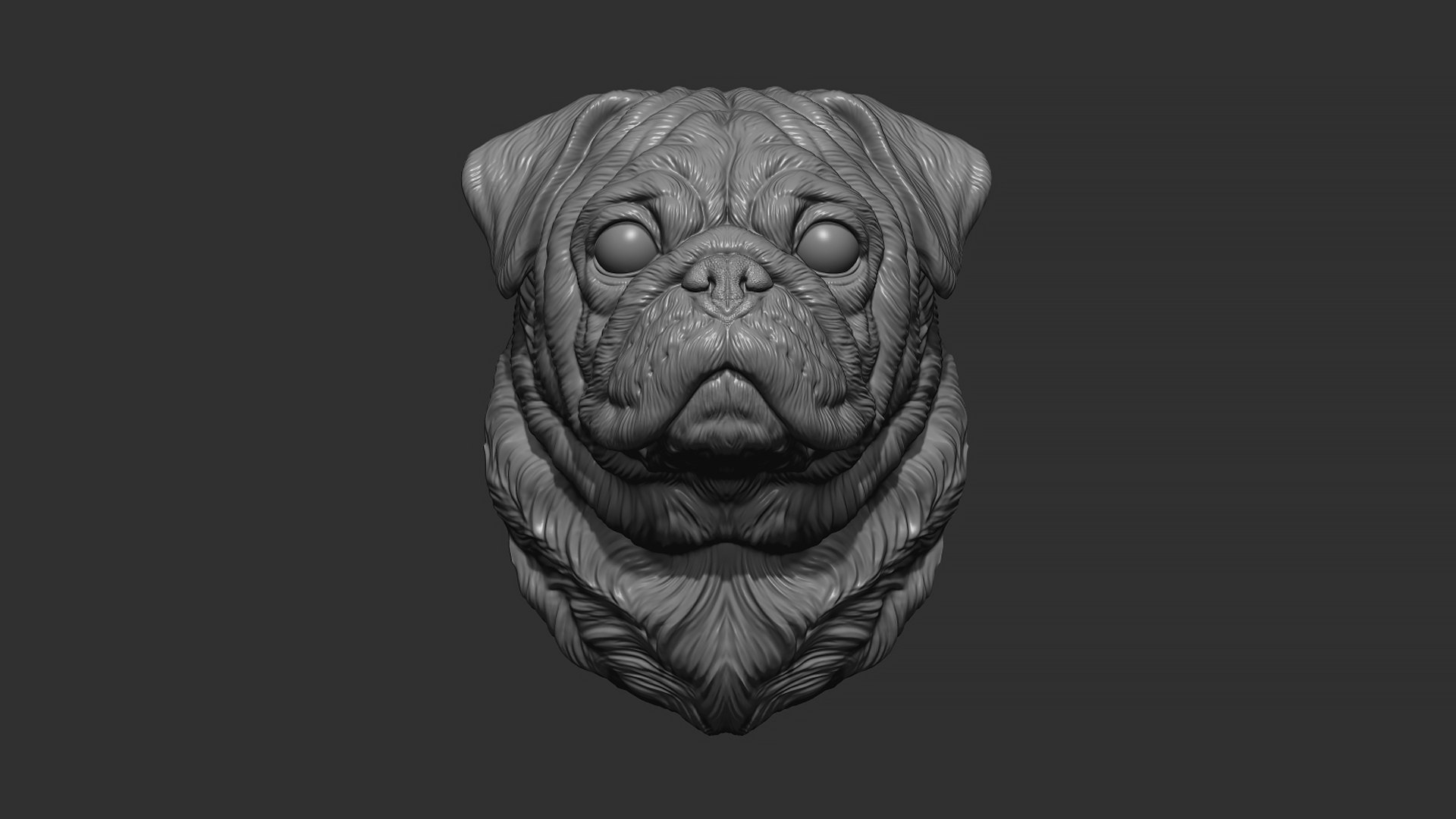 3D model Pug dog head - TurboSquid 2099846