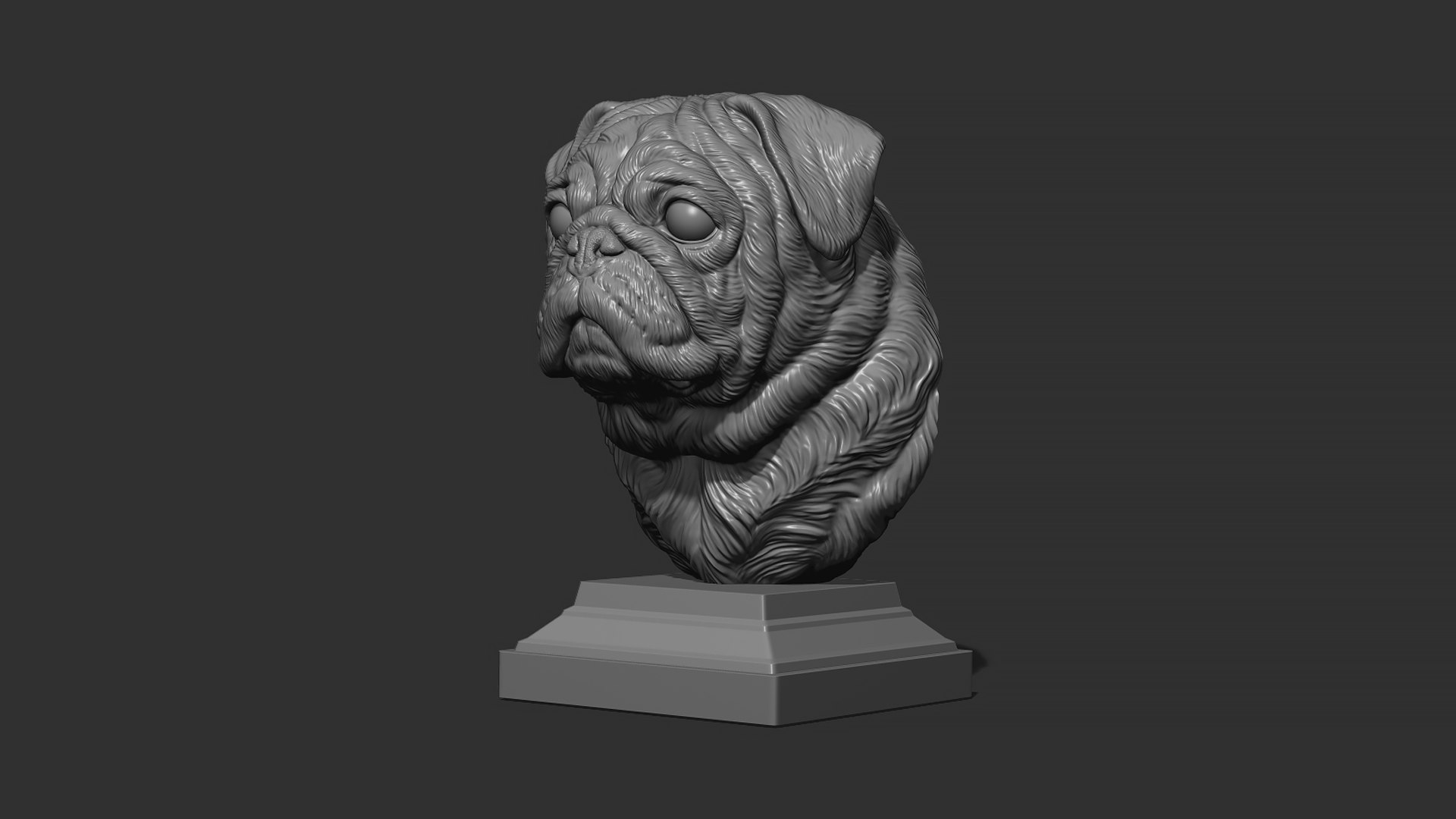 3D model Pug dog head - TurboSquid 2099846