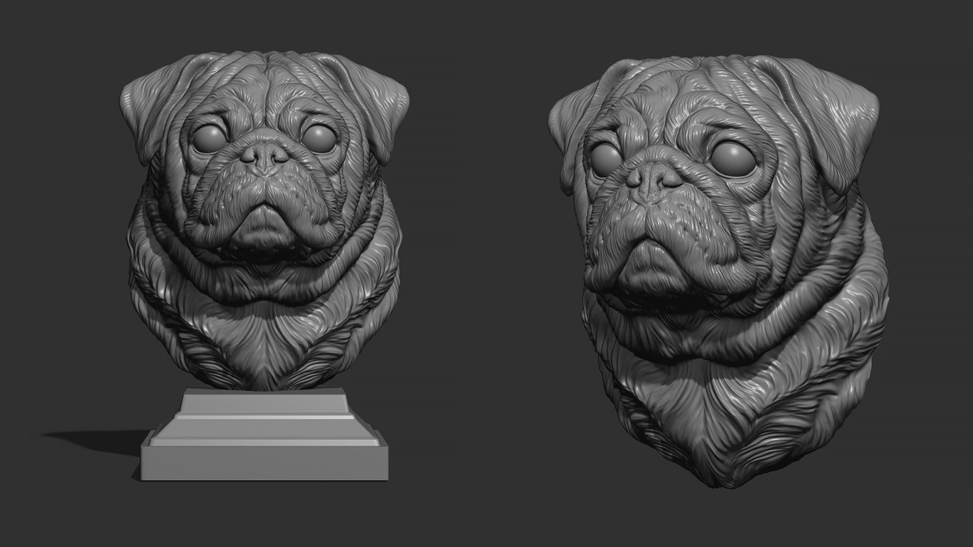 3D model Pug dog head - TurboSquid 2099846