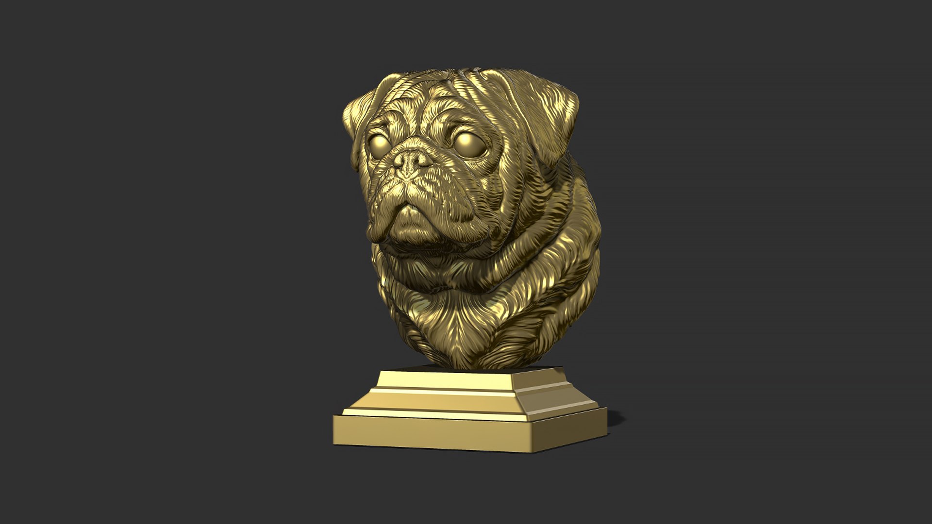 3D model Pug dog head - TurboSquid 2099846