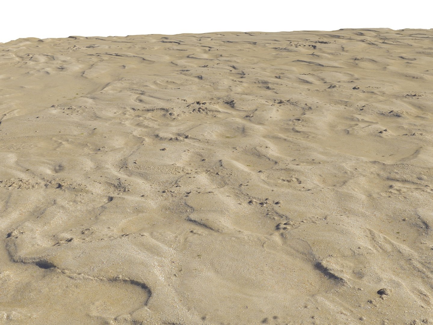 3D Model Wet Beach Ground 16k - TurboSquid 1237334