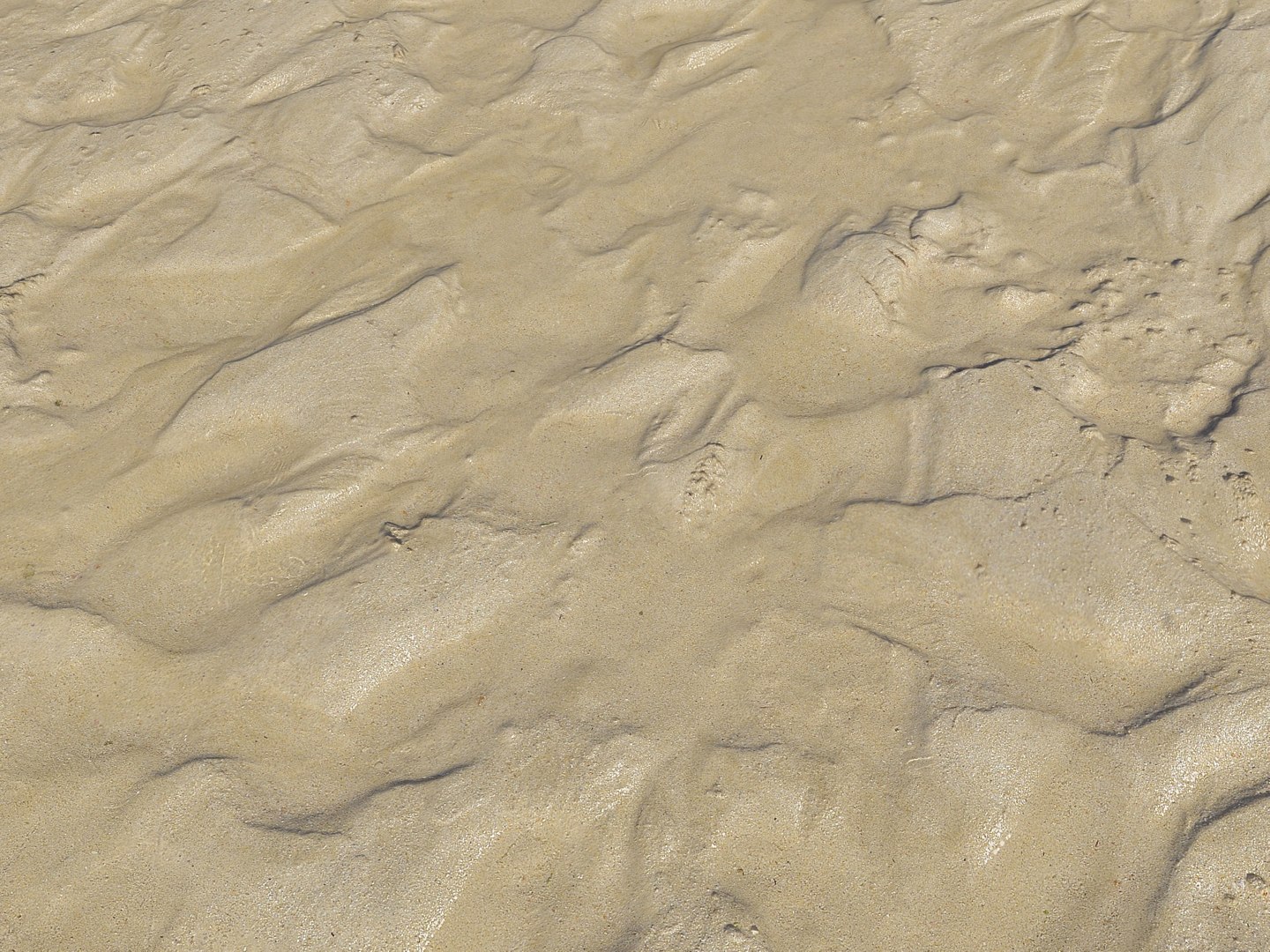 3D Model Wet Beach Ground 16k - TurboSquid 1237334