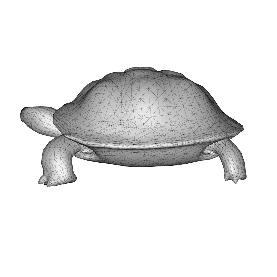 Stylized Tortoise 3D - TurboSquid 2324792