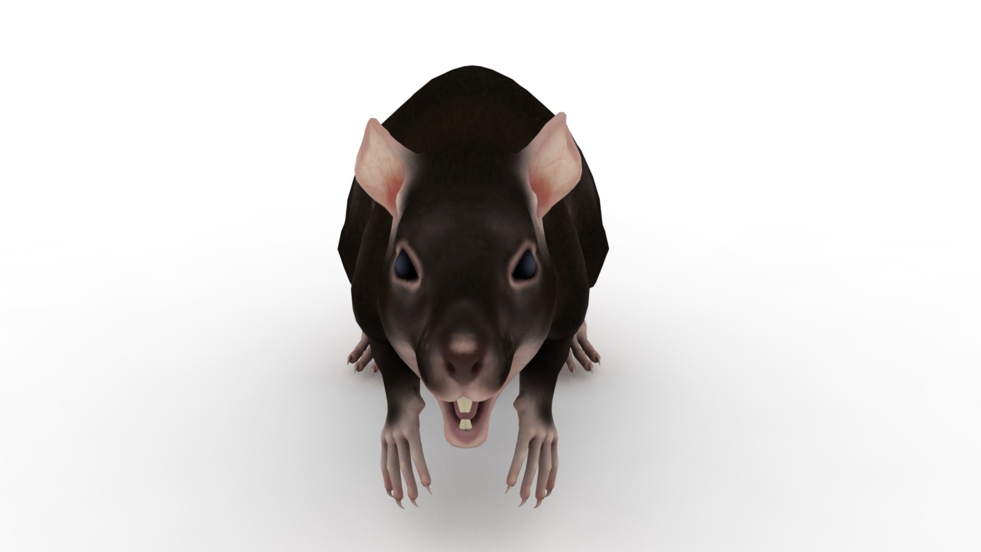 Rat 3D - TurboSquid 2031426
