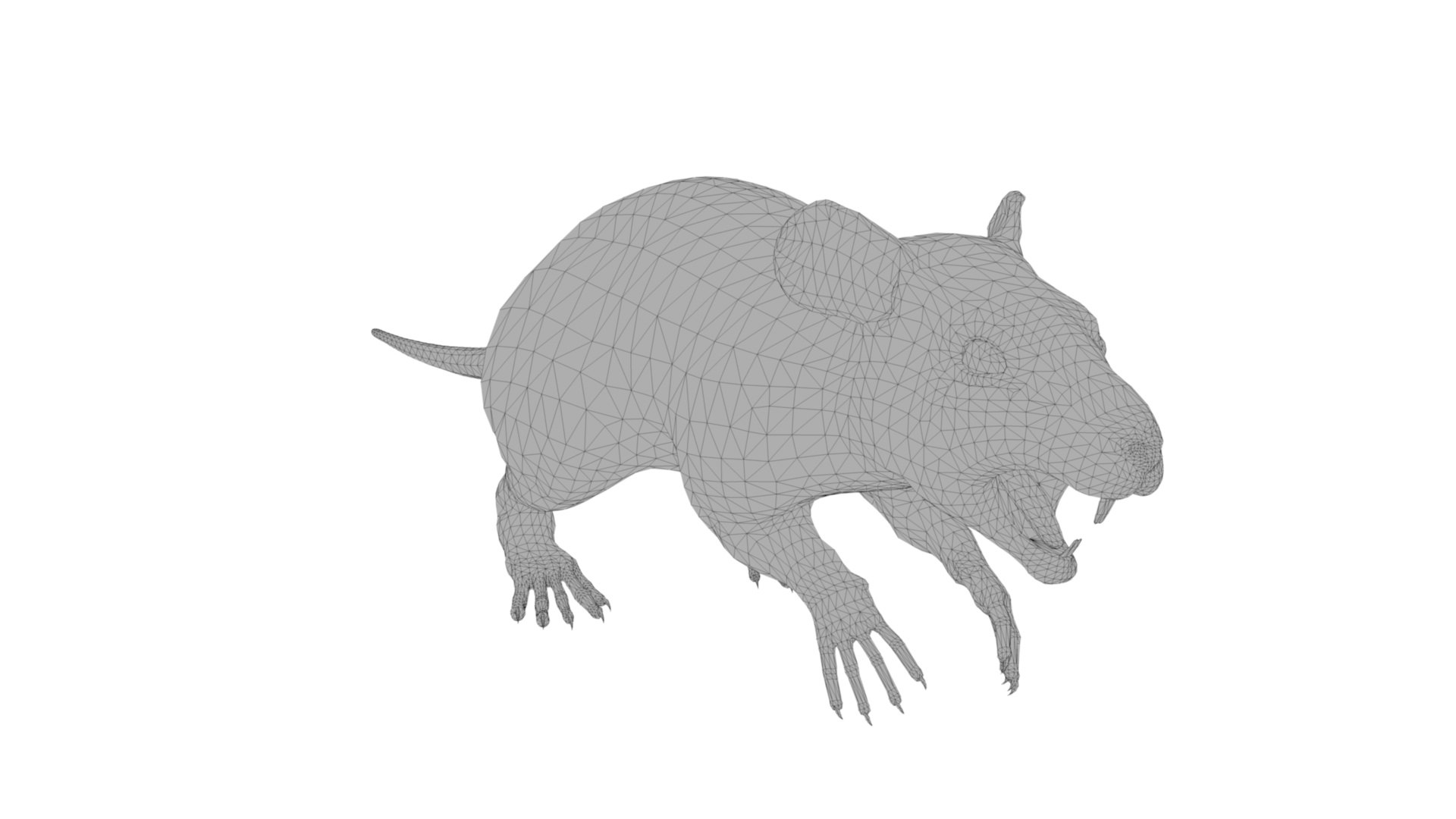 Rat 3D - TurboSquid 2031426