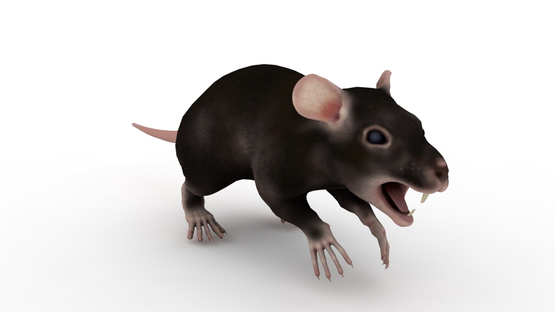 Rat 3D - TurboSquid 2031426