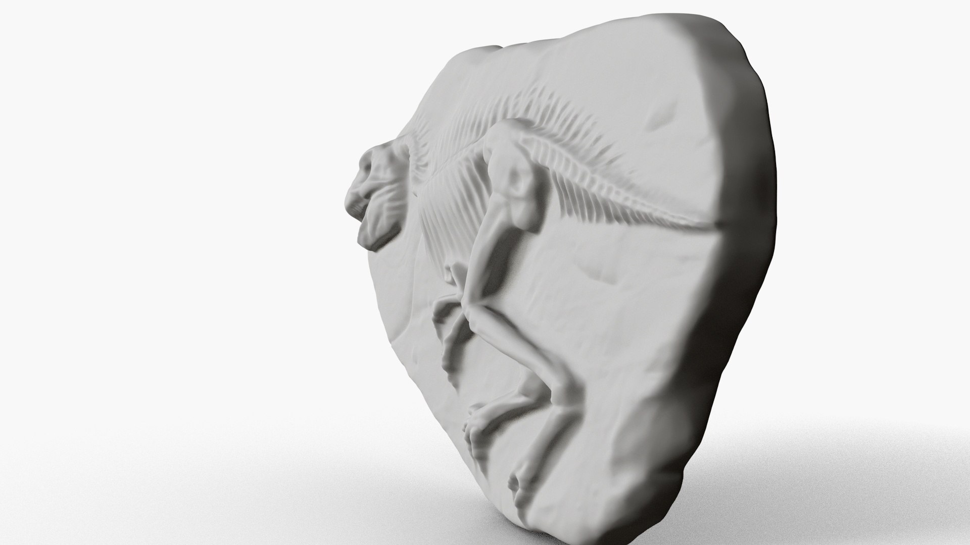 Dinosaur Fossil 009 3D Model - TurboSquid 2298855