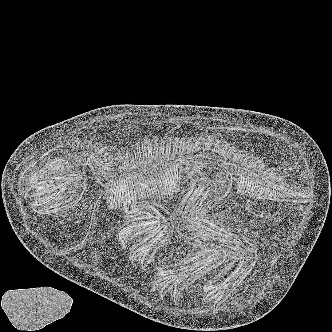 Dinosaur Fossil 009 3D Model - TurboSquid 2298855