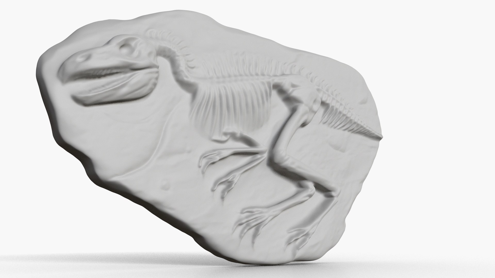 Dinosaur Fossil 009 3D Model - TurboSquid 2298855