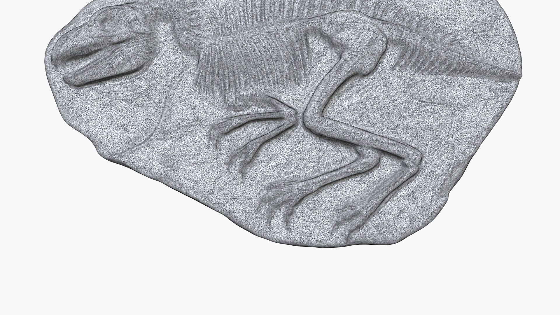 Dinosaur Fossil 009 3D Model - TurboSquid 2298855