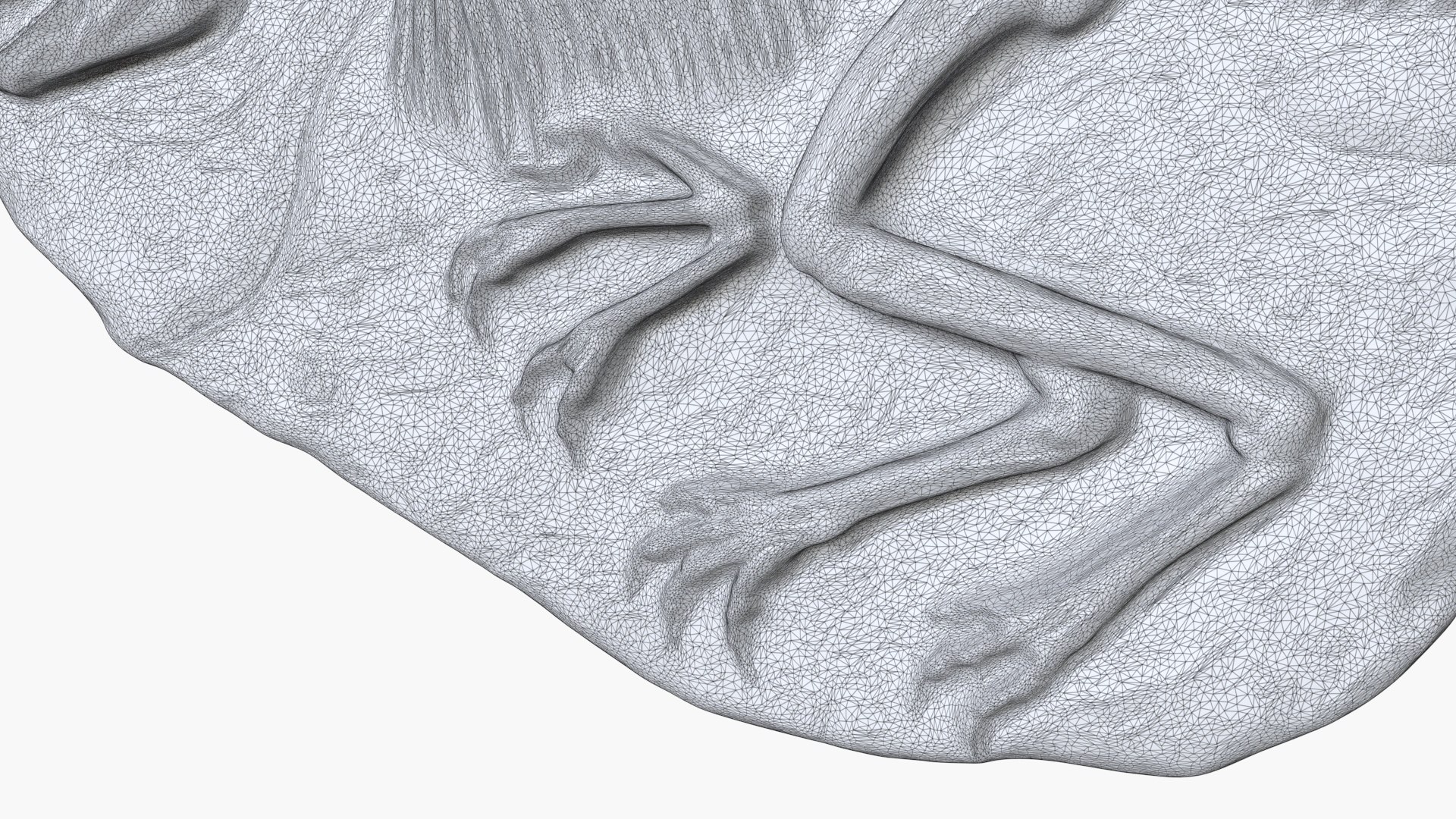 Dinosaur Fossil 009 3D Model - TurboSquid 2298855