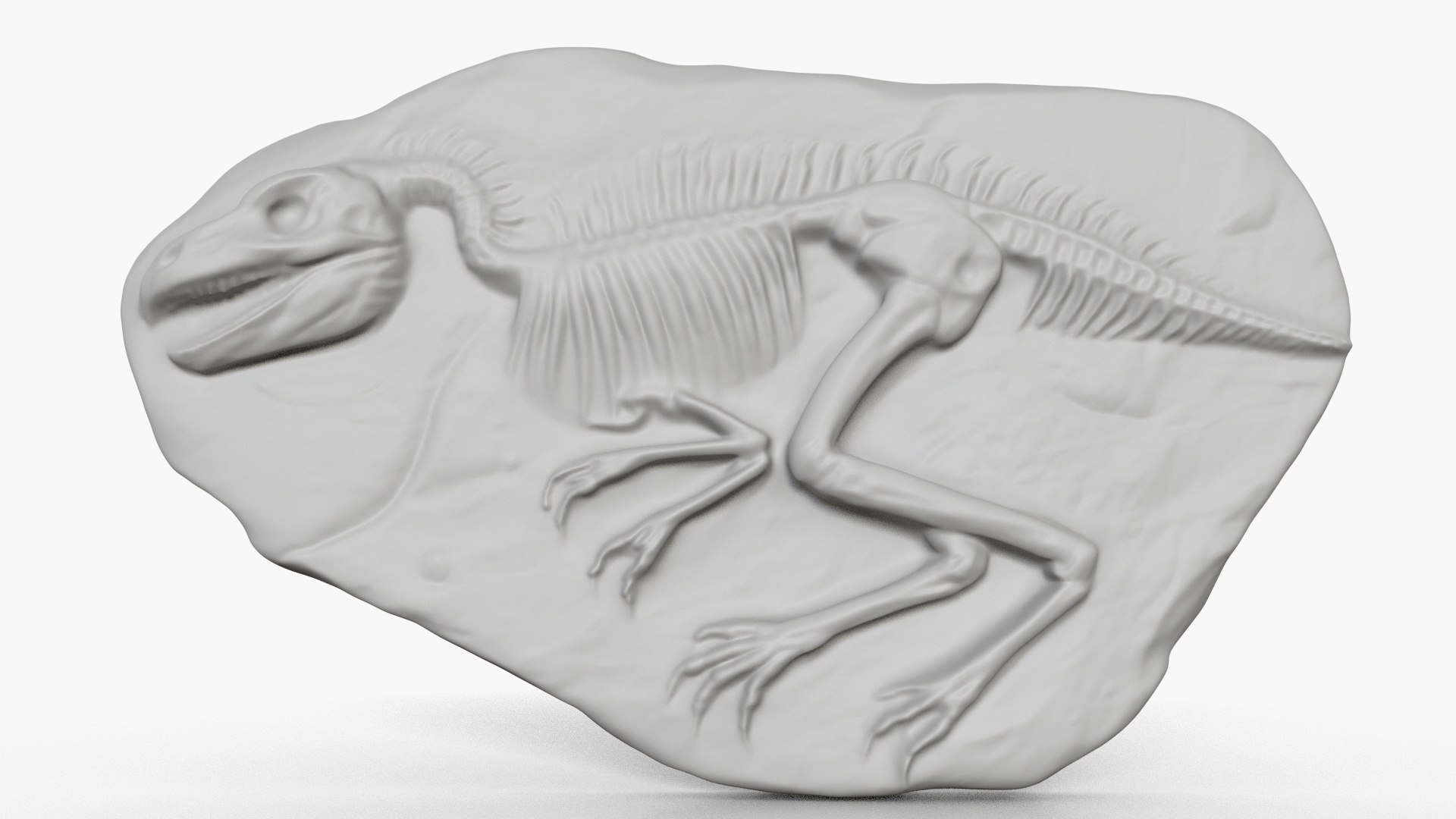 Dinosaur Fossil 009 3D Model - TurboSquid 2298855