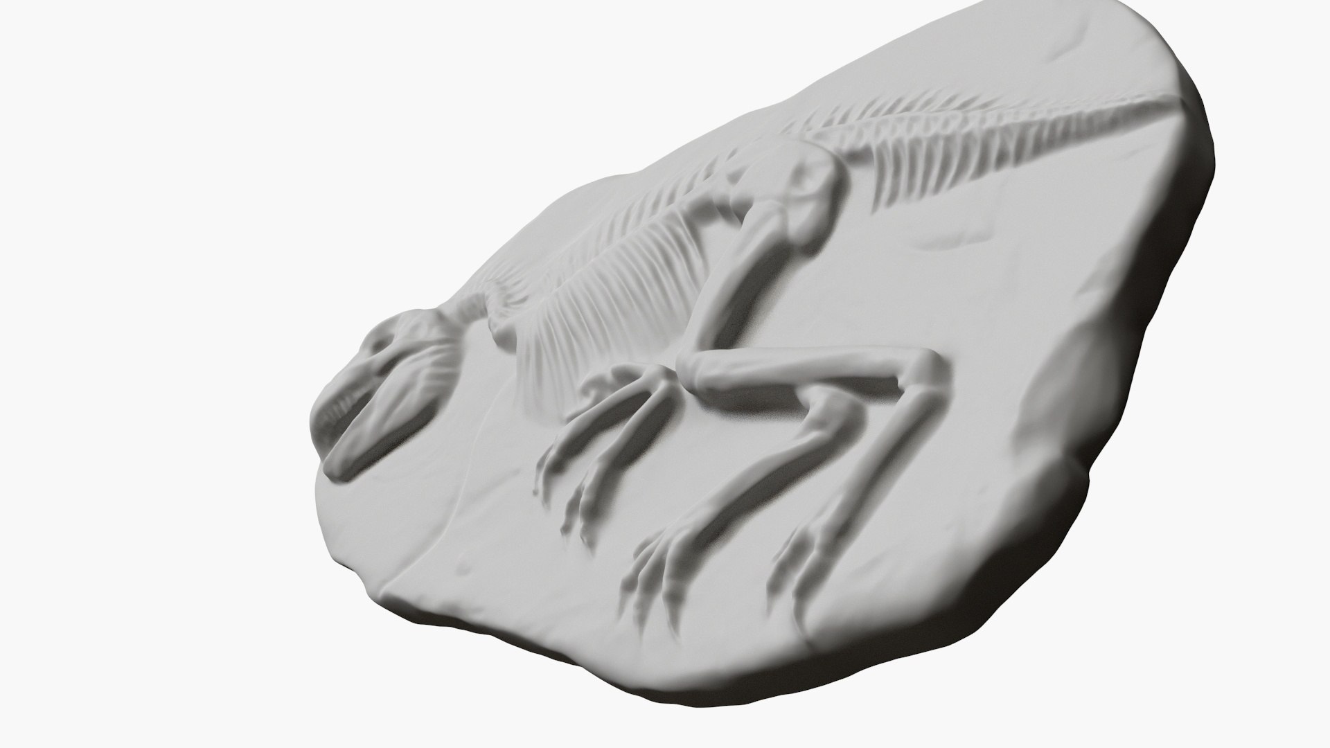 Dinosaur Fossil 009 3D Model - TurboSquid 2298855
