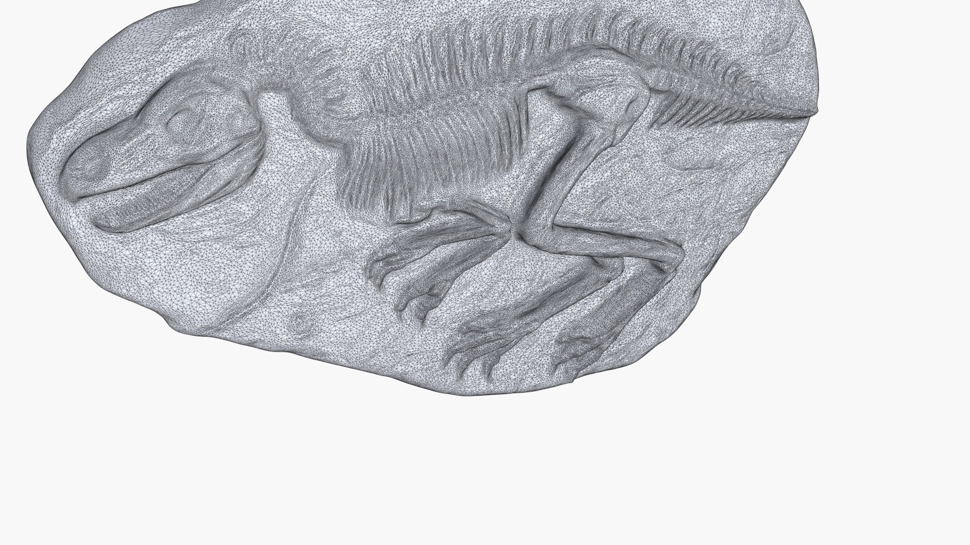 Dinosaur Fossil 009 3D Model - TurboSquid 2298855