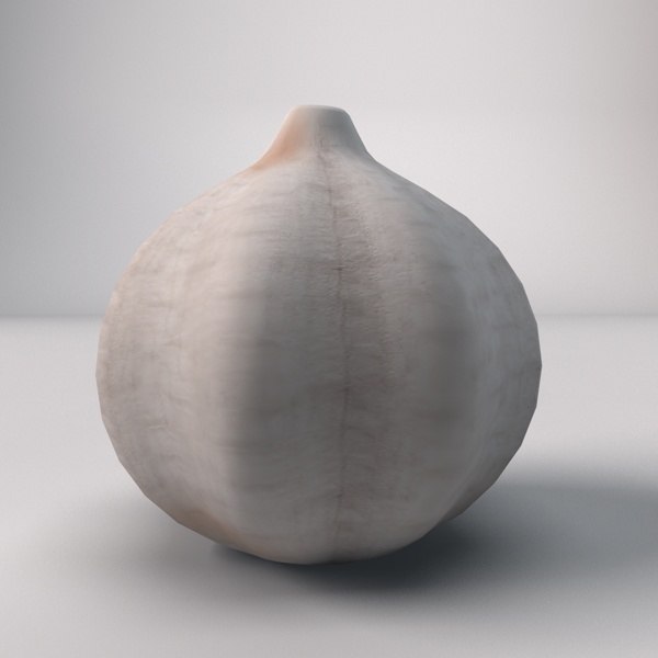 free garlic modeled 3d model