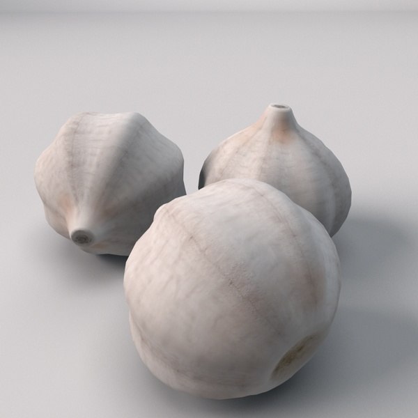 free garlic modeled 3d model