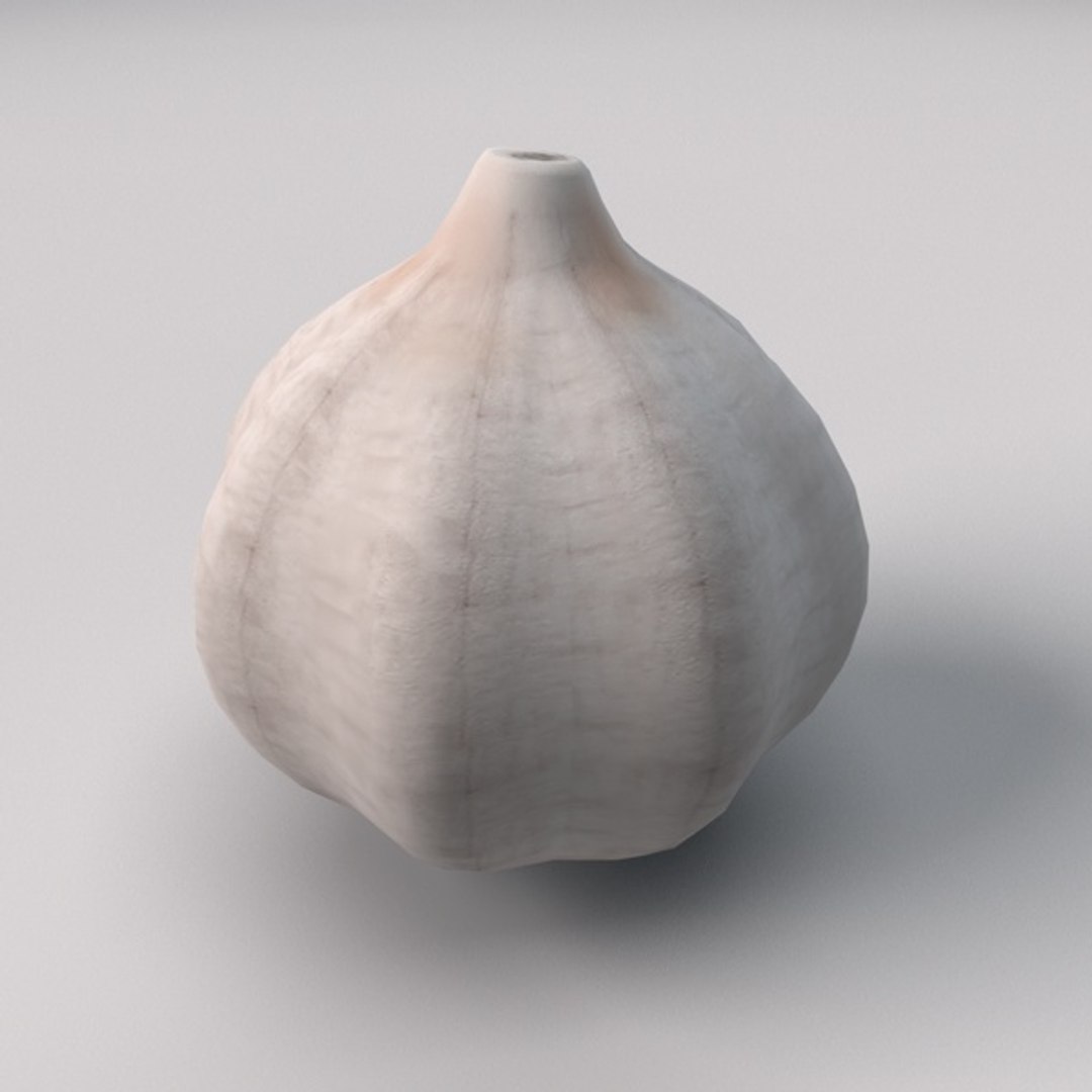 Free Garlic Modeled 3d Model