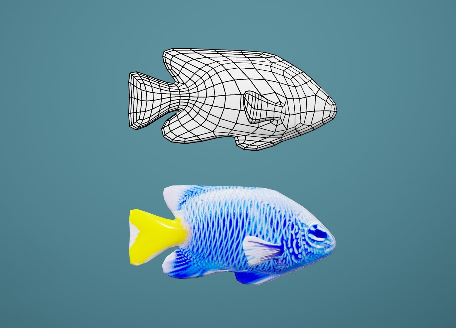 3D model tropical fish swimming animation - TurboSquid 1647593