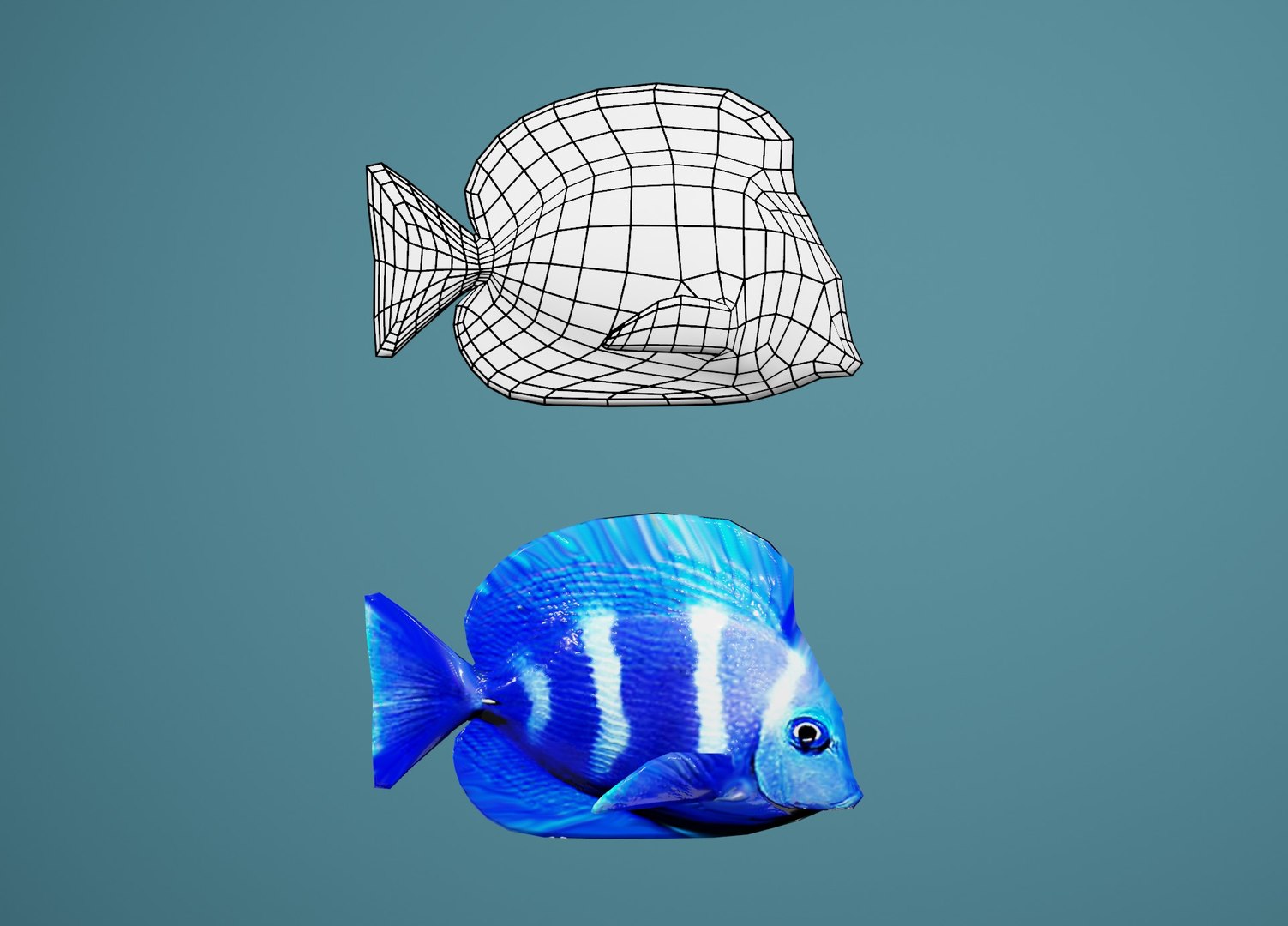 3D model tropical fish swimming animation - TurboSquid 1647593