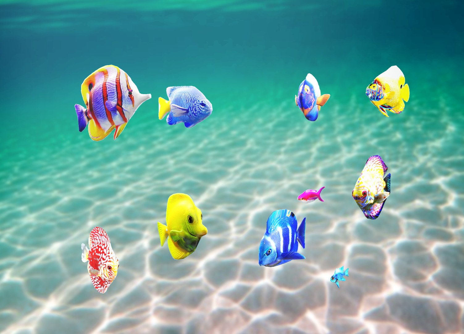 3D Model Tropical Fish Swimming Animation - TurboSquid 1647593