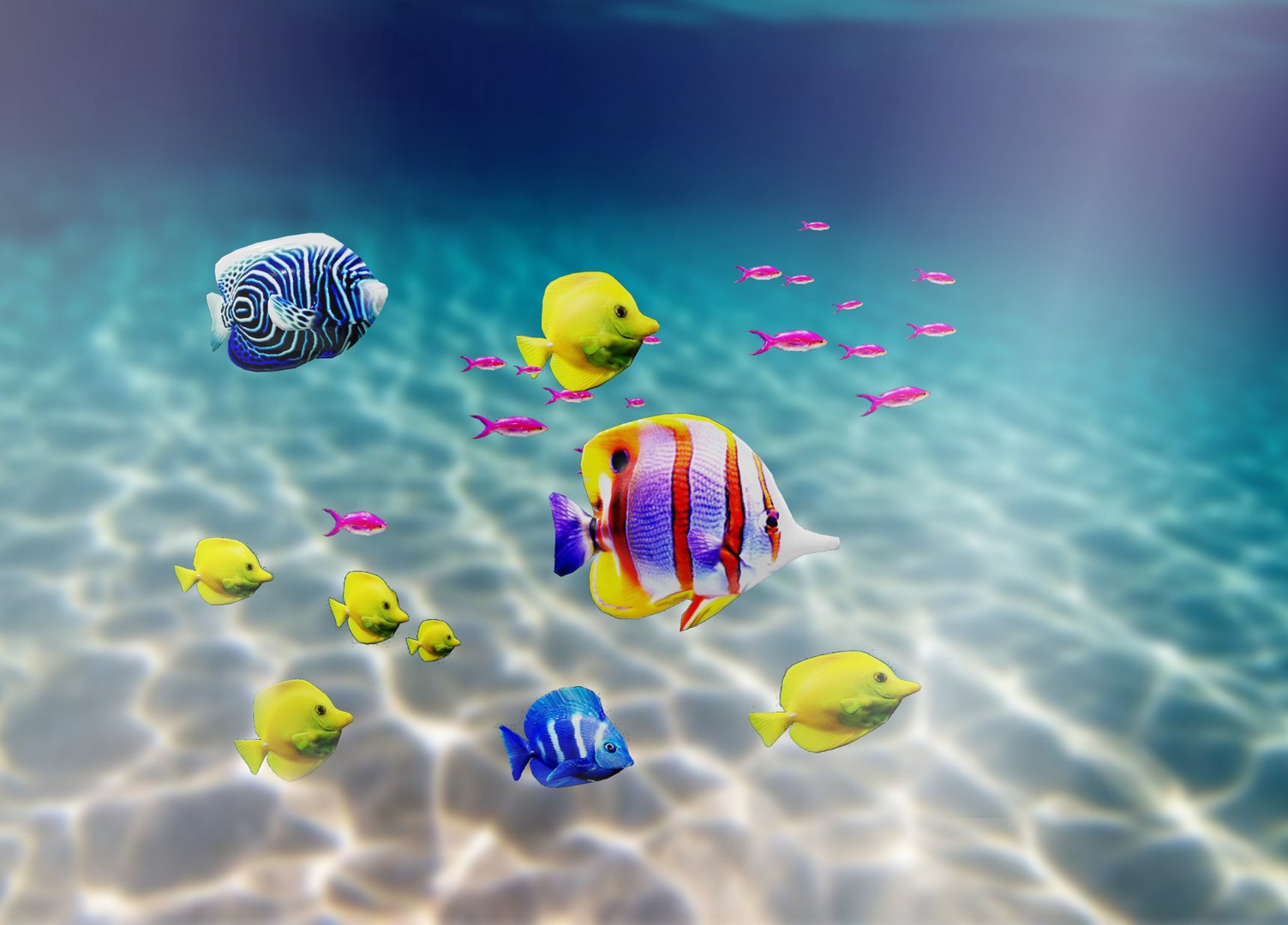 3D Model Tropical Fish Swimming Animation - TurboSquid 1647593