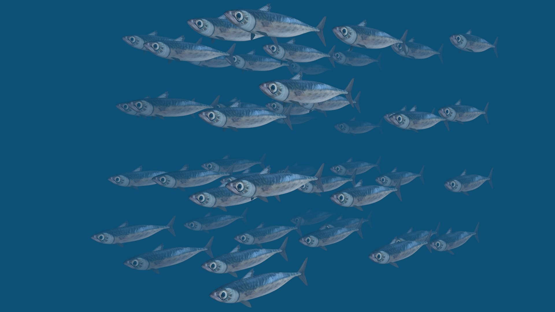 Tinker Mackerel 3D Model - TurboSquid 1989019