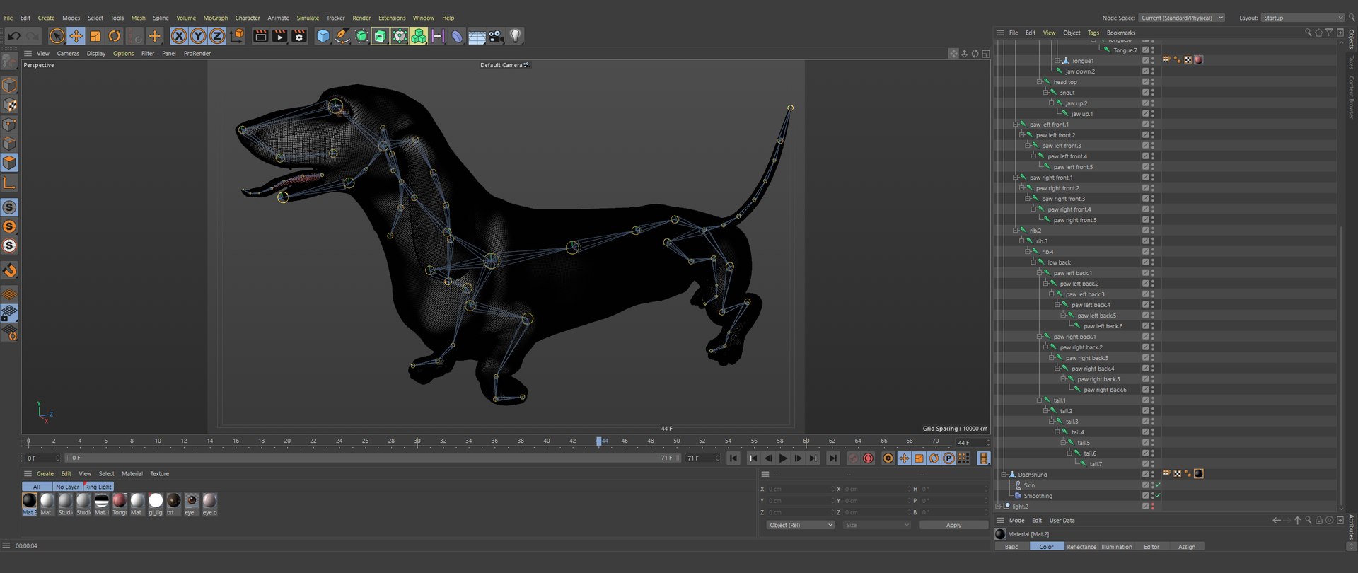 3D Dachshund Rigged L1860 - TurboSquid 1970552