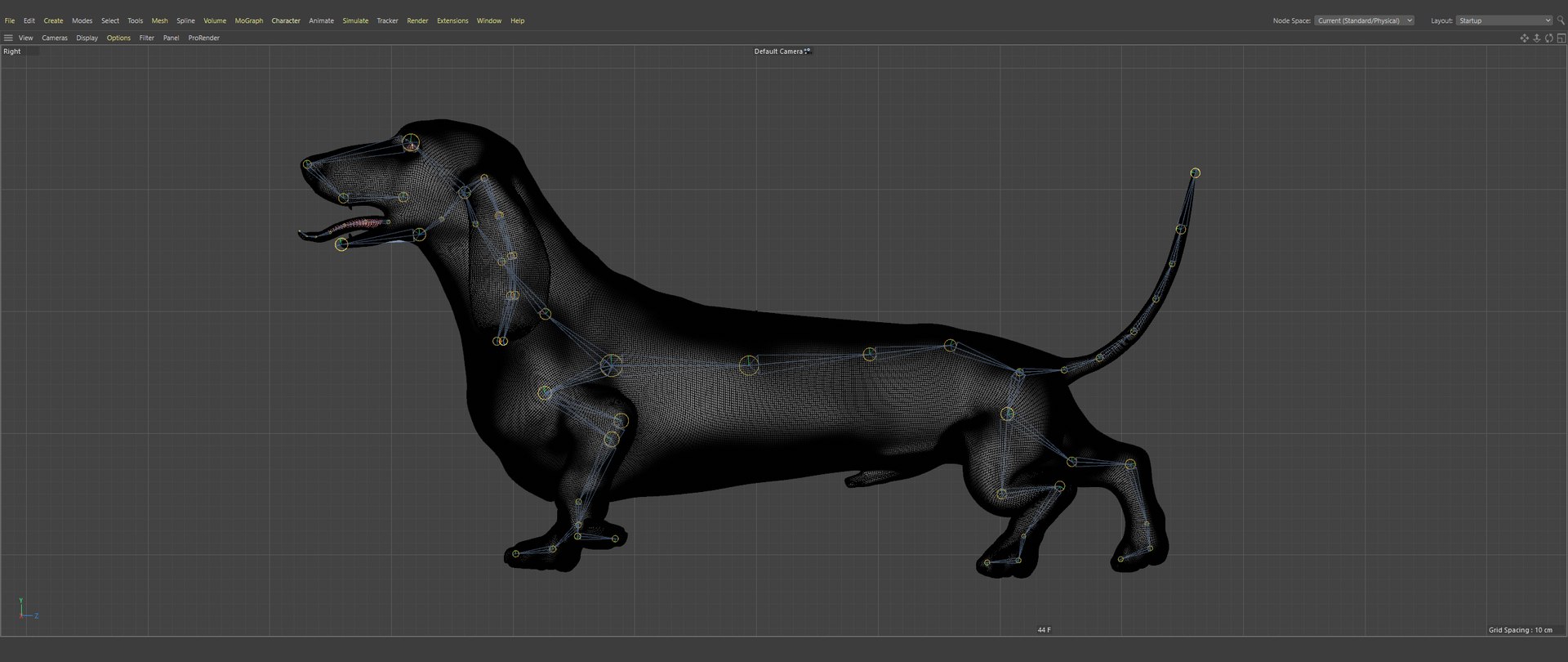3D Dachshund Rigged L1860 - TurboSquid 1970552