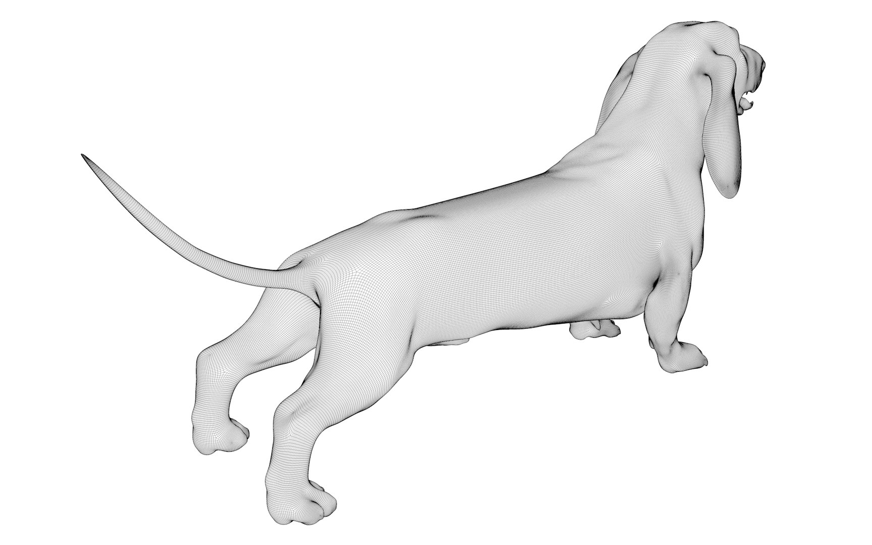 3D Dachshund Rigged L1860 - TurboSquid 1970552