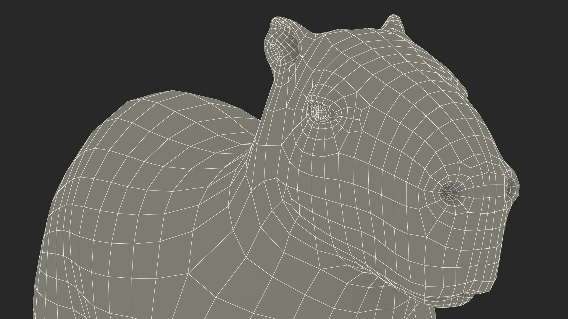3D Capybara Rigged For Modo Model - TurboSquid 1958205
