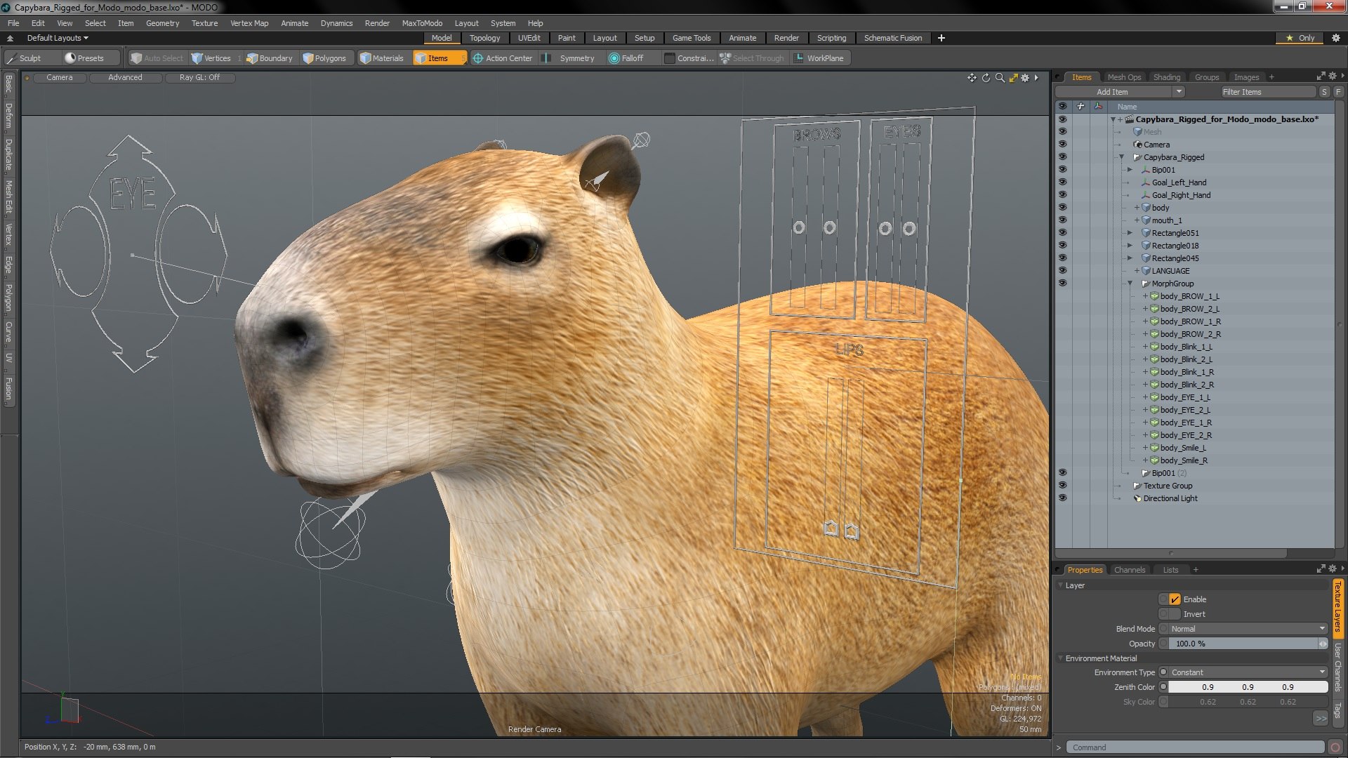 3D Capybara Rigged For Modo Model - TurboSquid 1958205