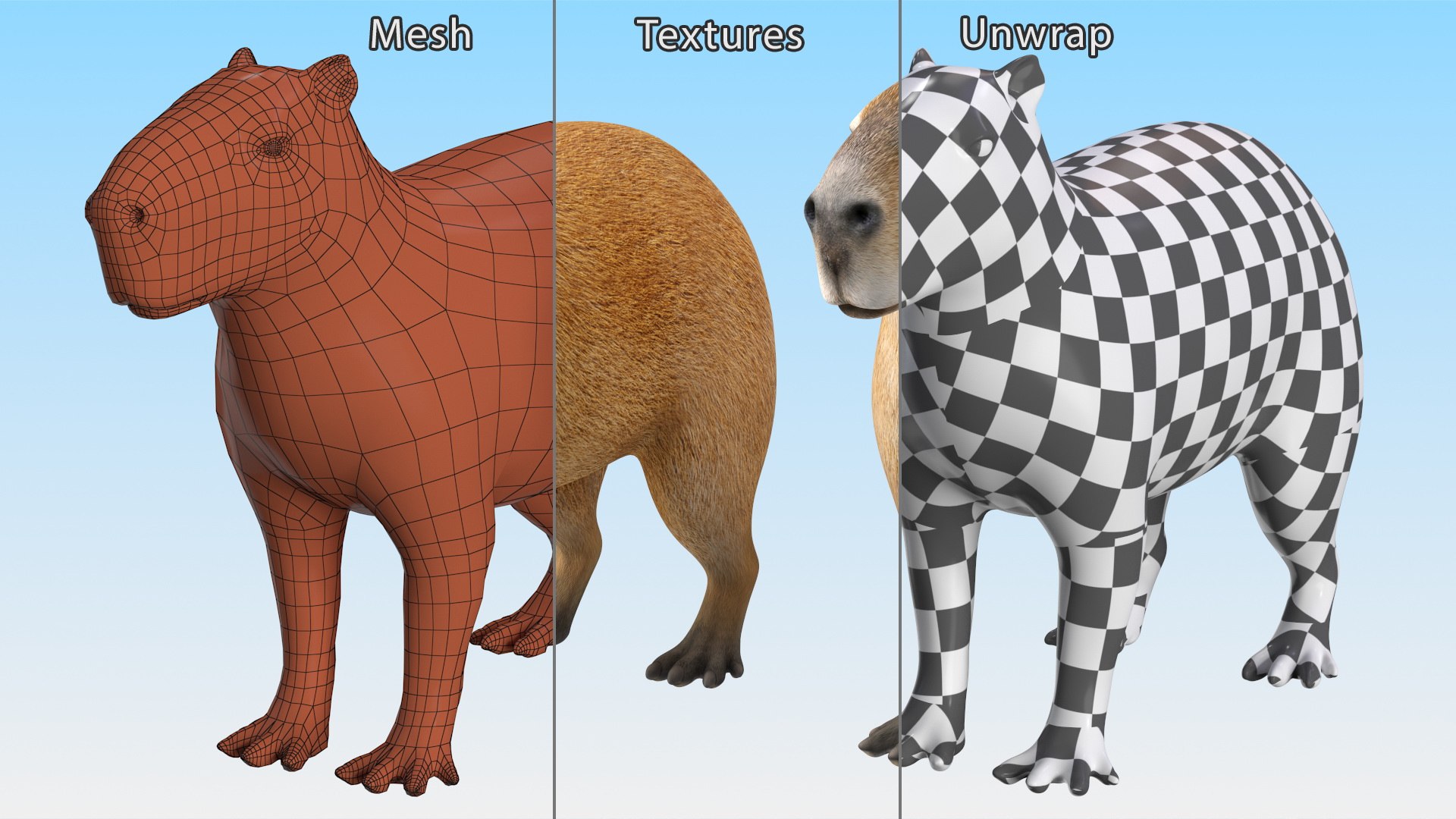 3D Capybara Rigged For Modo Model - TurboSquid 1958205