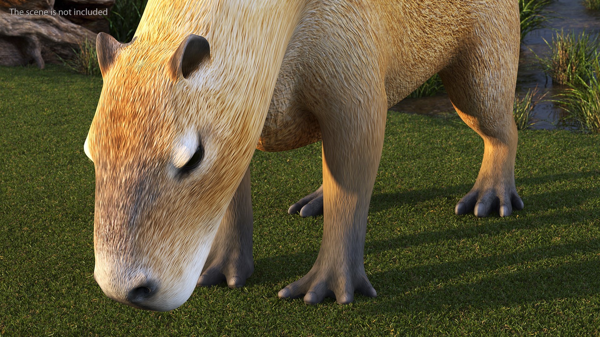 3D Capybara Rigged For Modo Model - TurboSquid 1958205