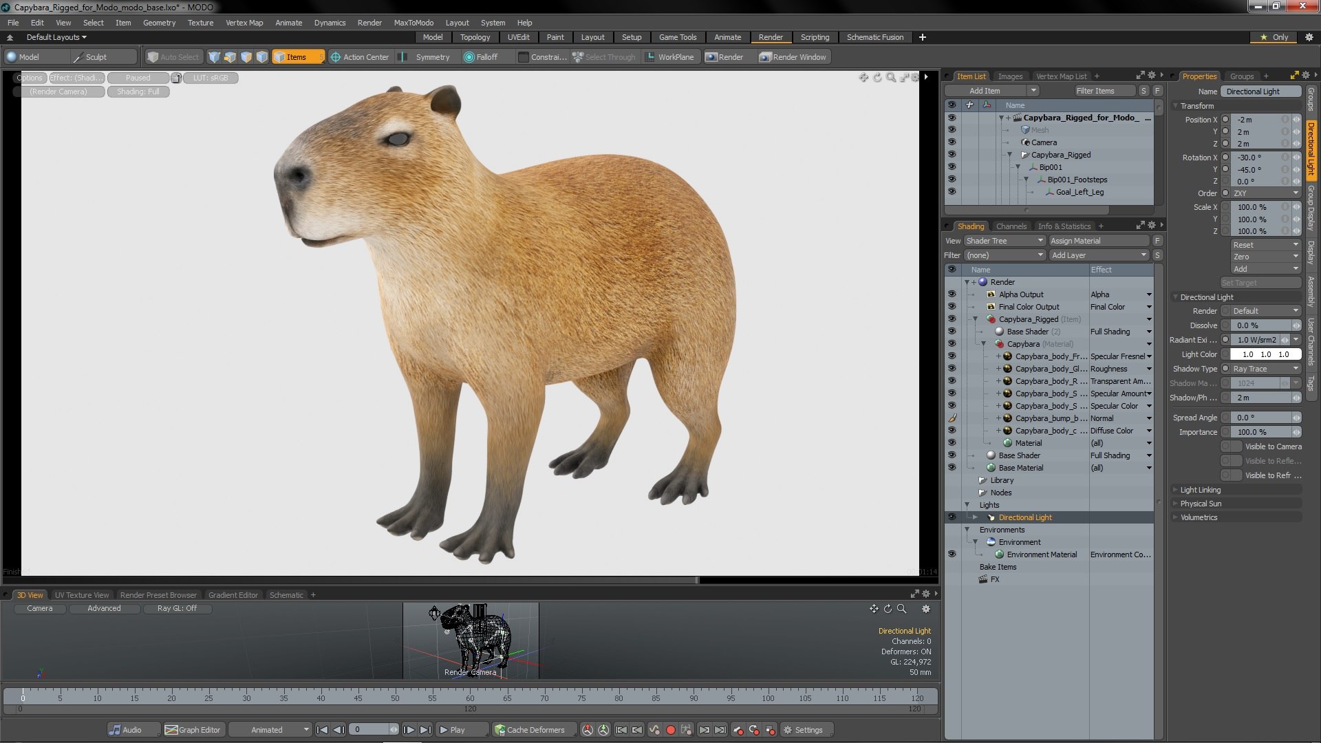 3D Capybara Rigged For Modo Model - TurboSquid 1958205