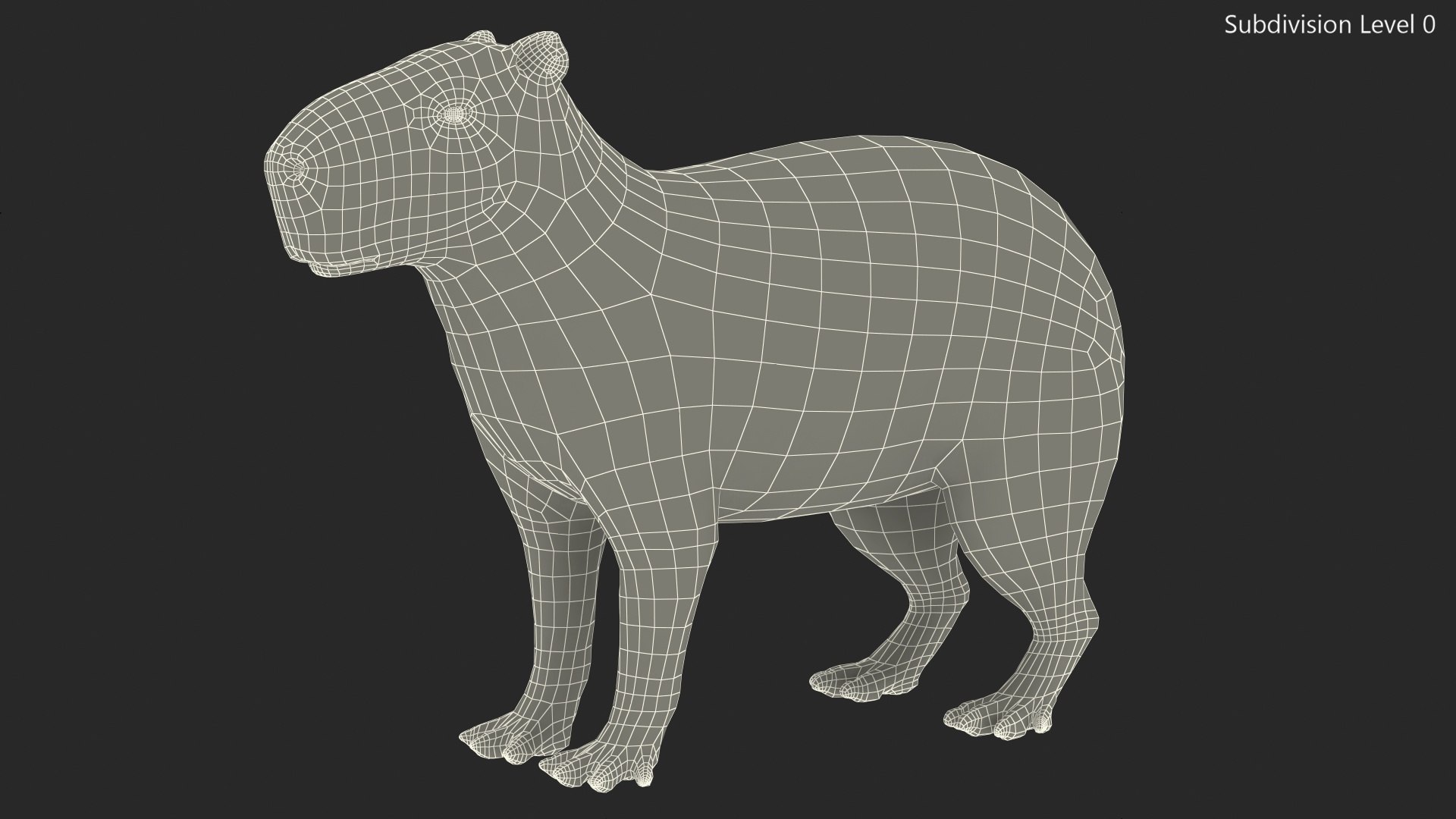 3D Capybara Rigged For Modo Model - TurboSquid 1958205