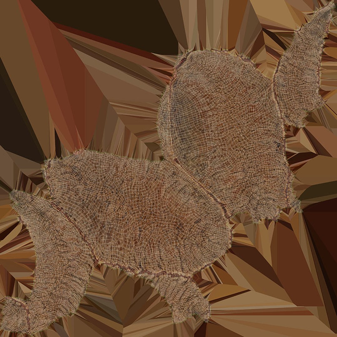 Brazil Nut In Shell 02 3D - TurboSquid 2286335
