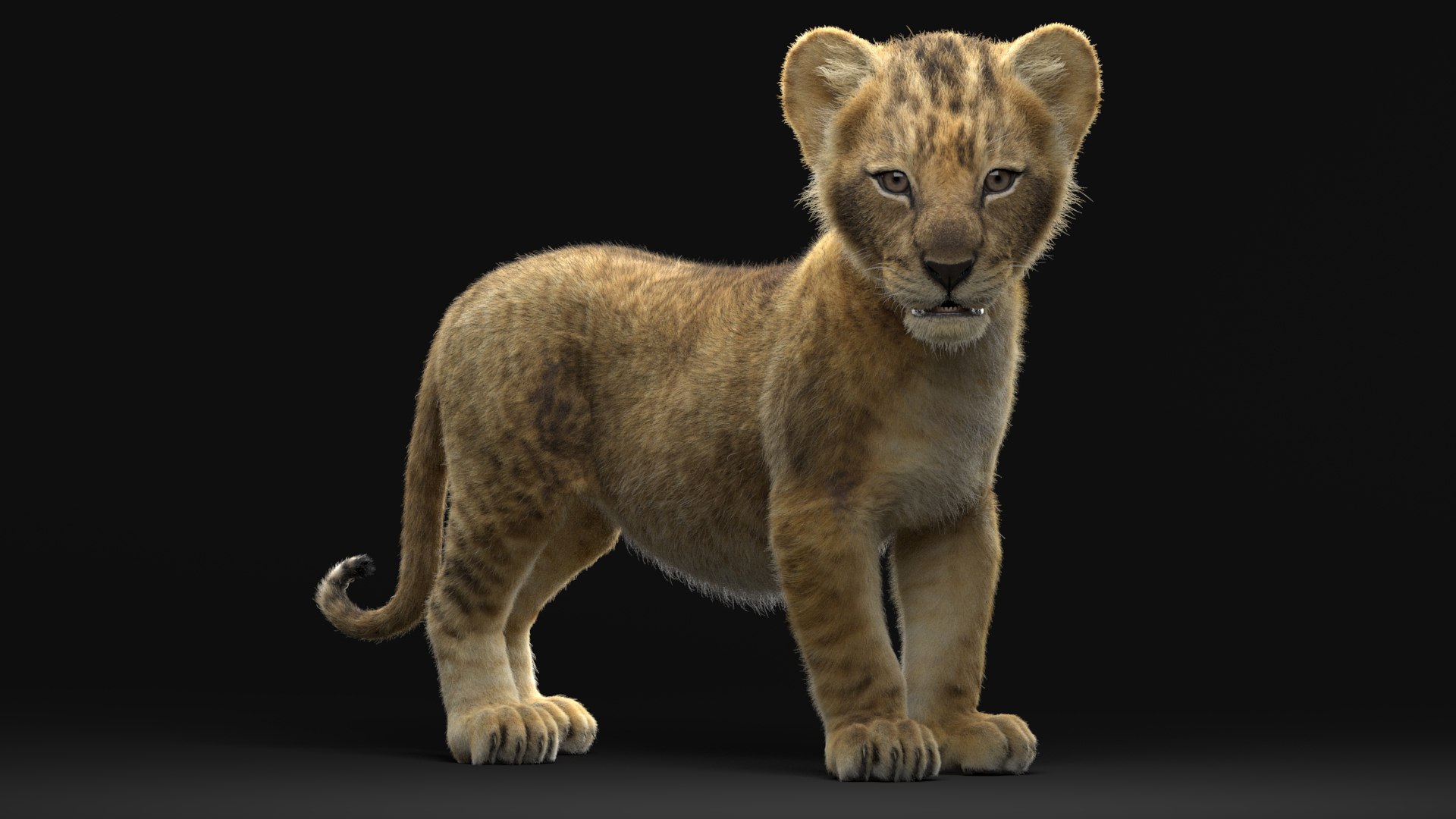 3D realistic rigged lion cub - TurboSquid 1445552