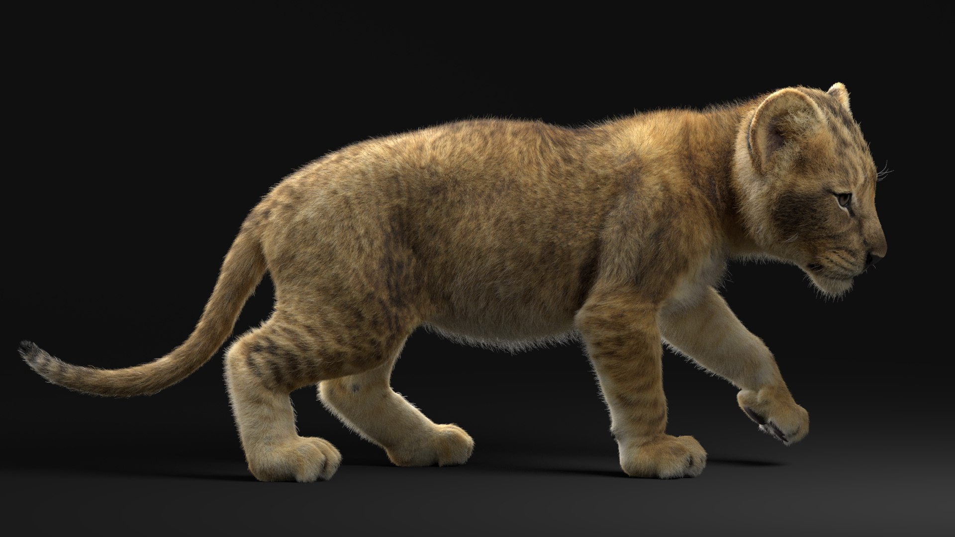 3D realistic rigged lion cub - TurboSquid 1445552
