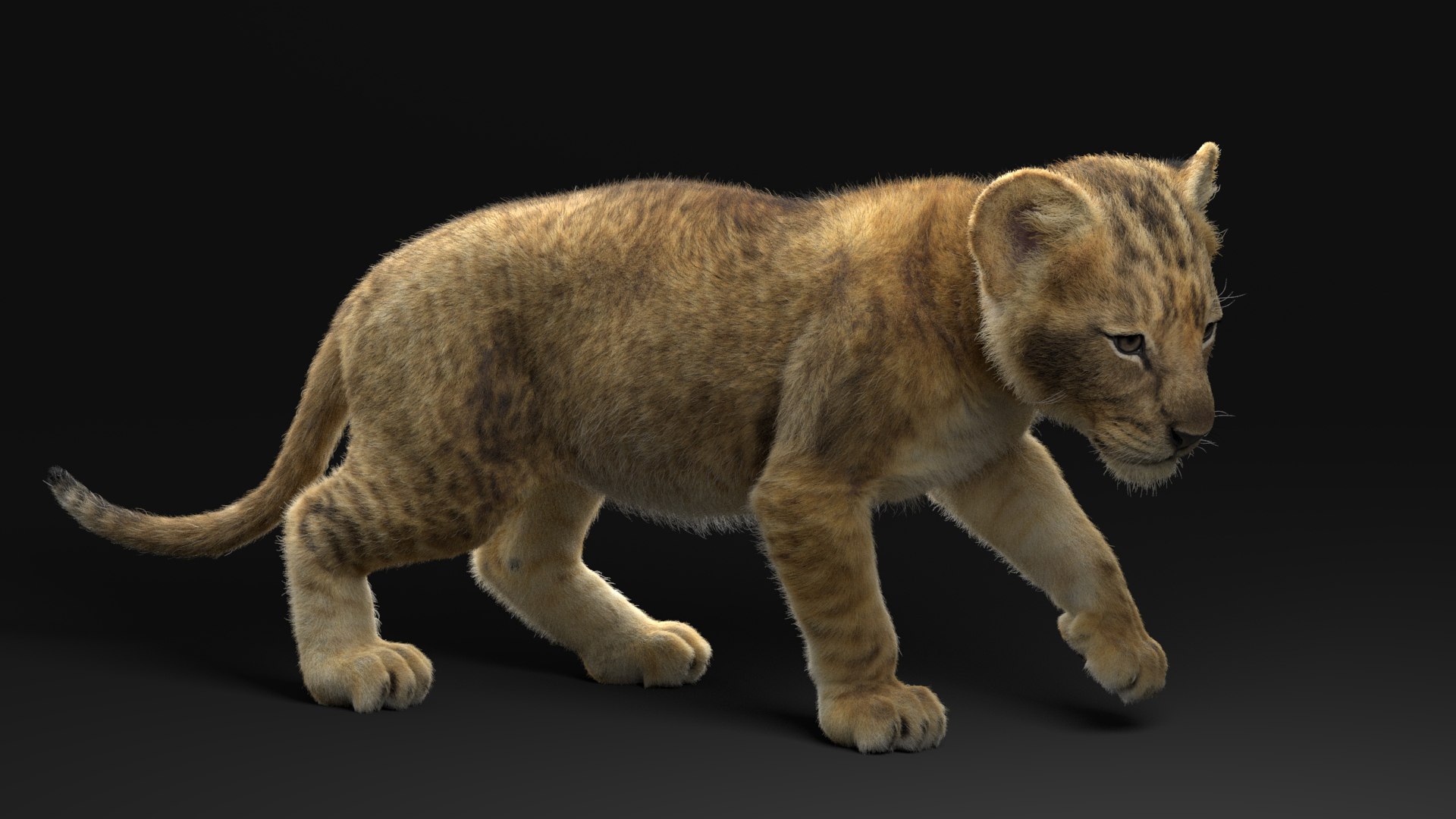 3D realistic rigged lion cub - TurboSquid 1445552