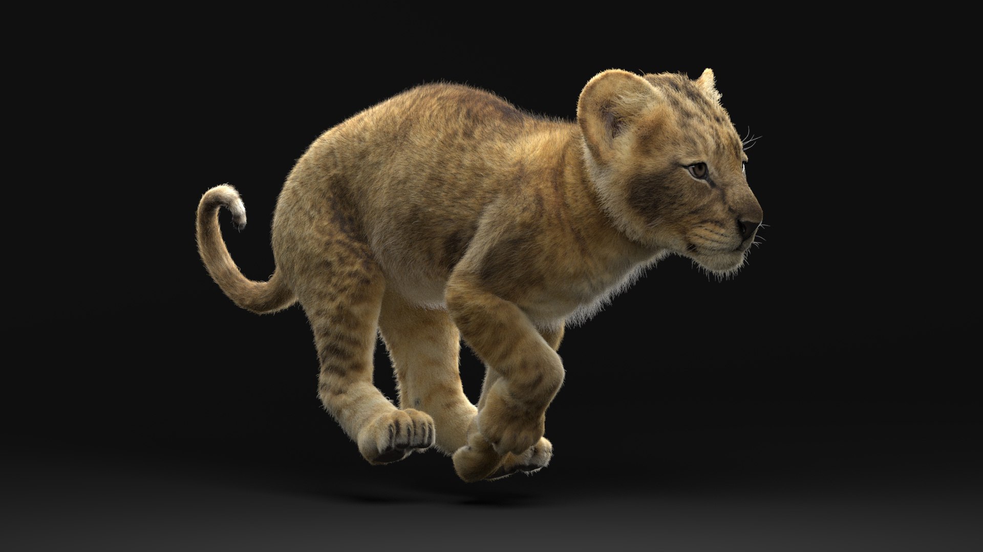 3D realistic rigged lion cub - TurboSquid 1445552