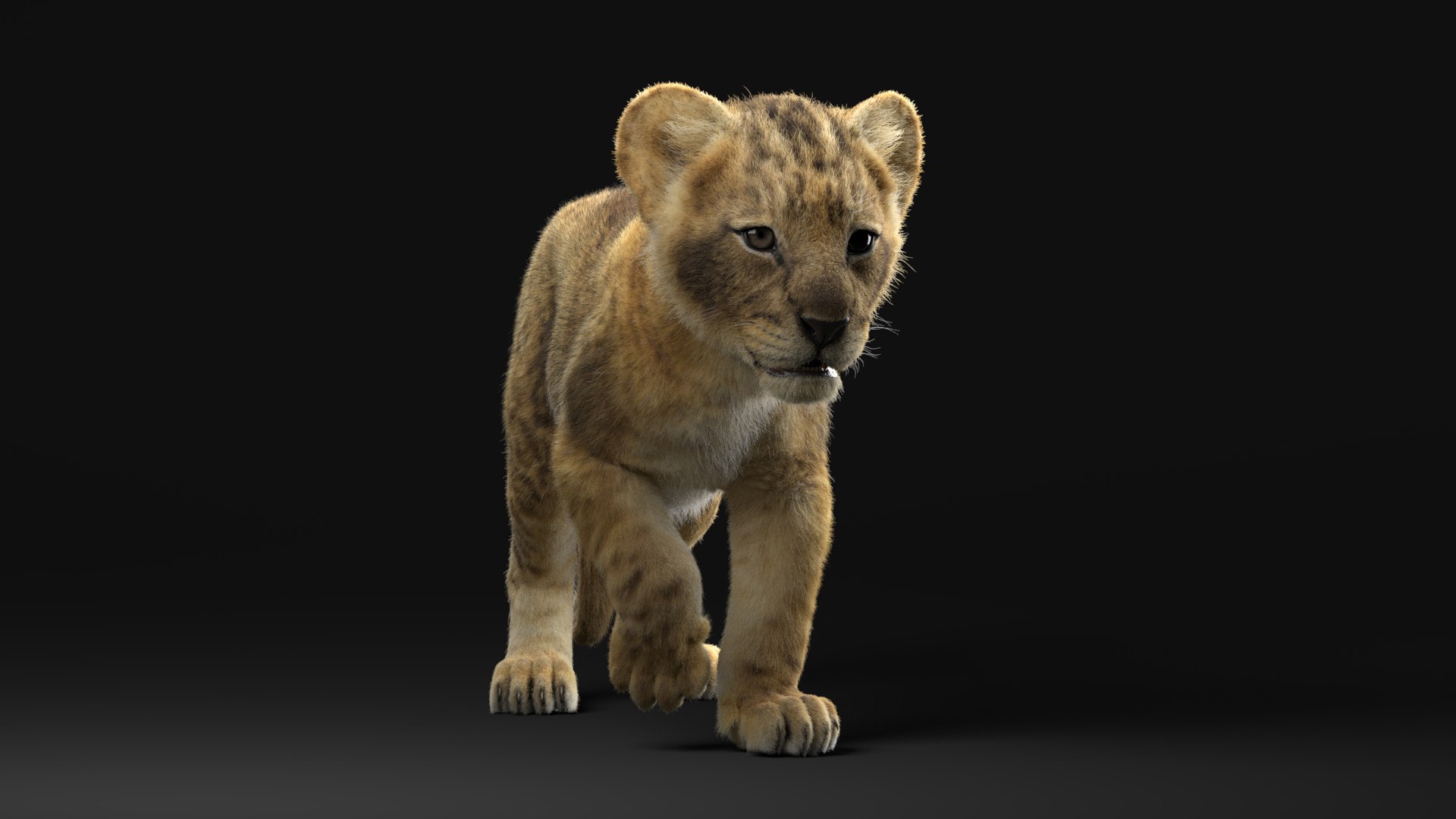 3D realistic rigged lion cub - TurboSquid 1445552