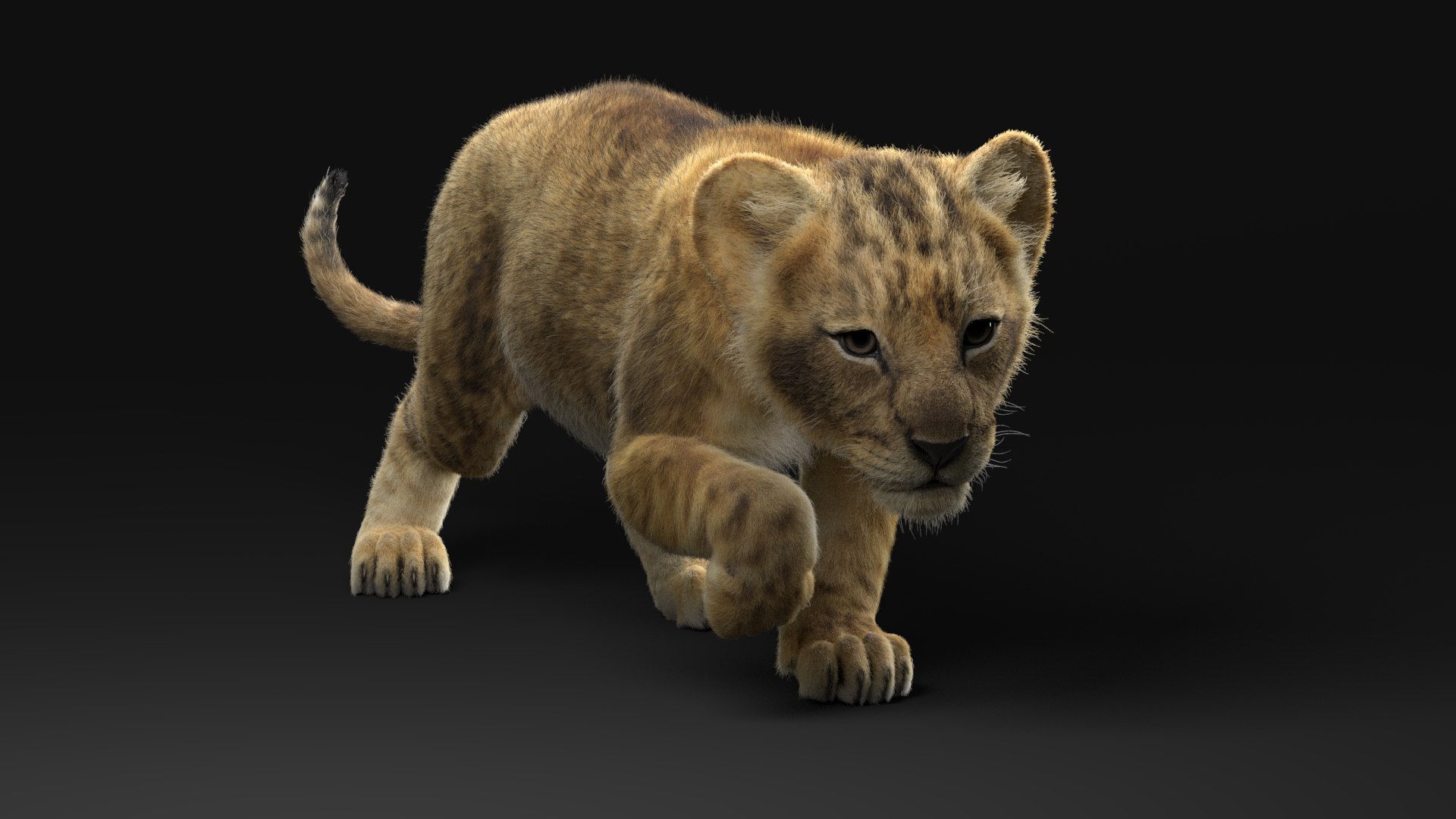 3D realistic rigged lion cub - TurboSquid 1445552