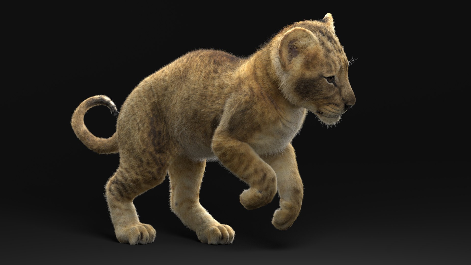 3D realistic rigged lion cub - TurboSquid 1445552