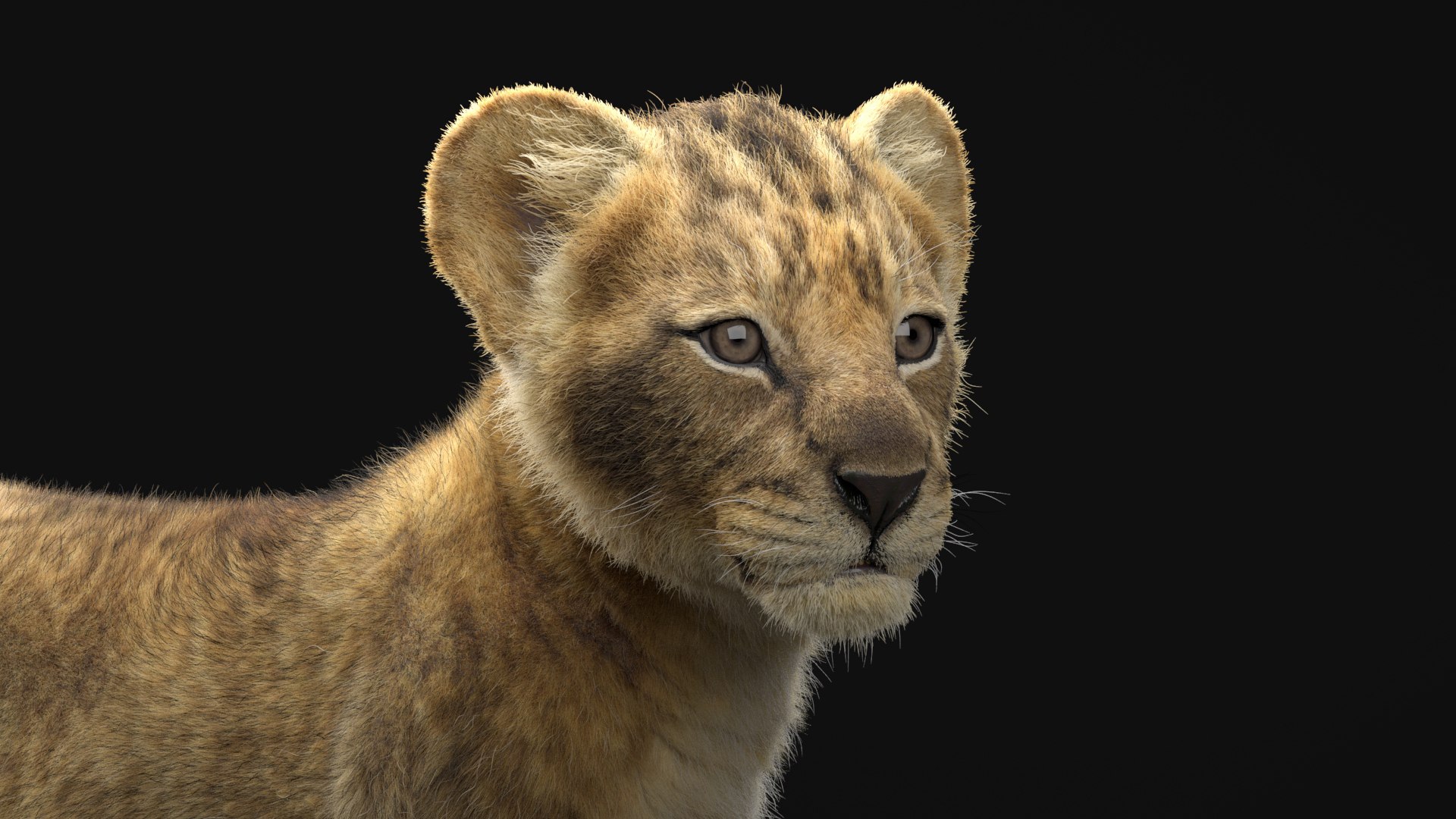 3D realistic rigged lion cub - TurboSquid 1445552