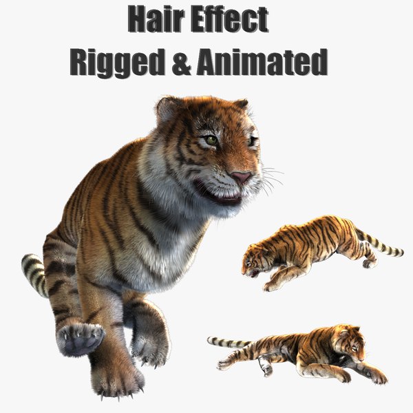 Animated Tiger 3D Models for Download | TurboSquid