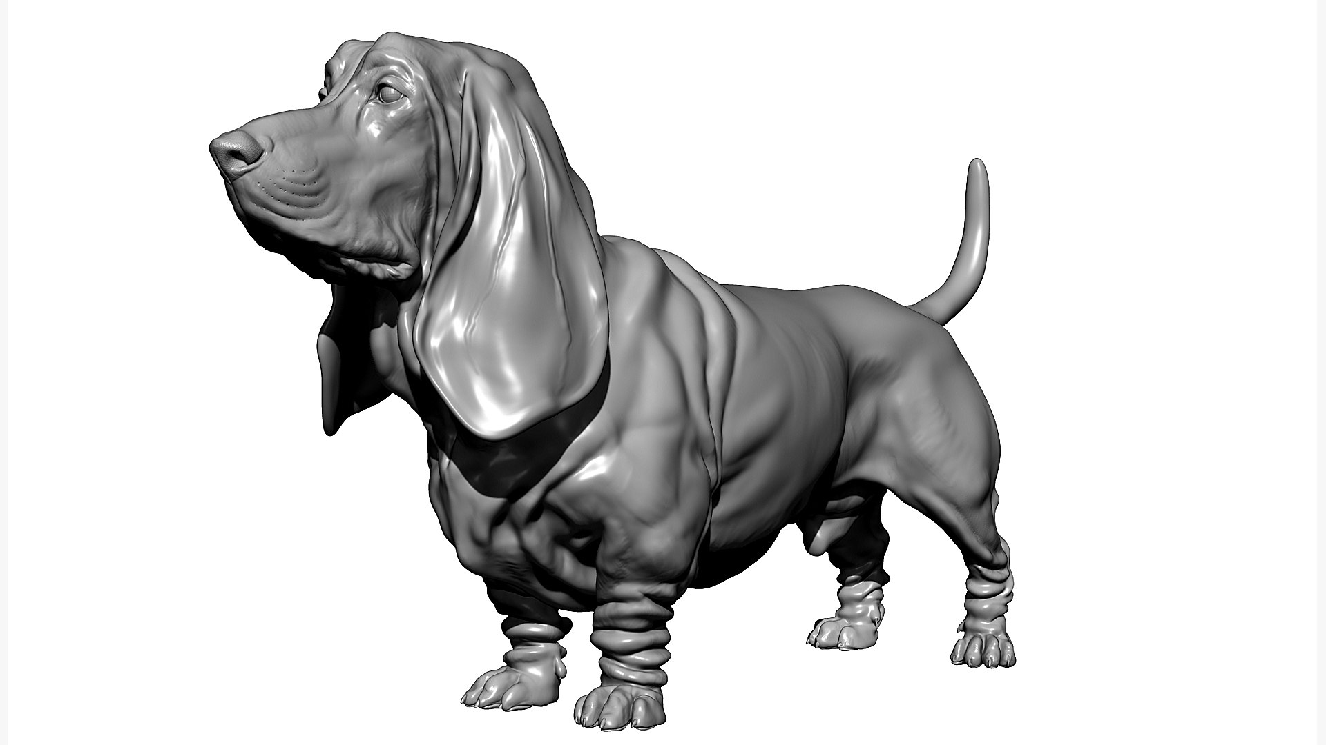 Basset Hound Dog Model - TurboSquid 1668286